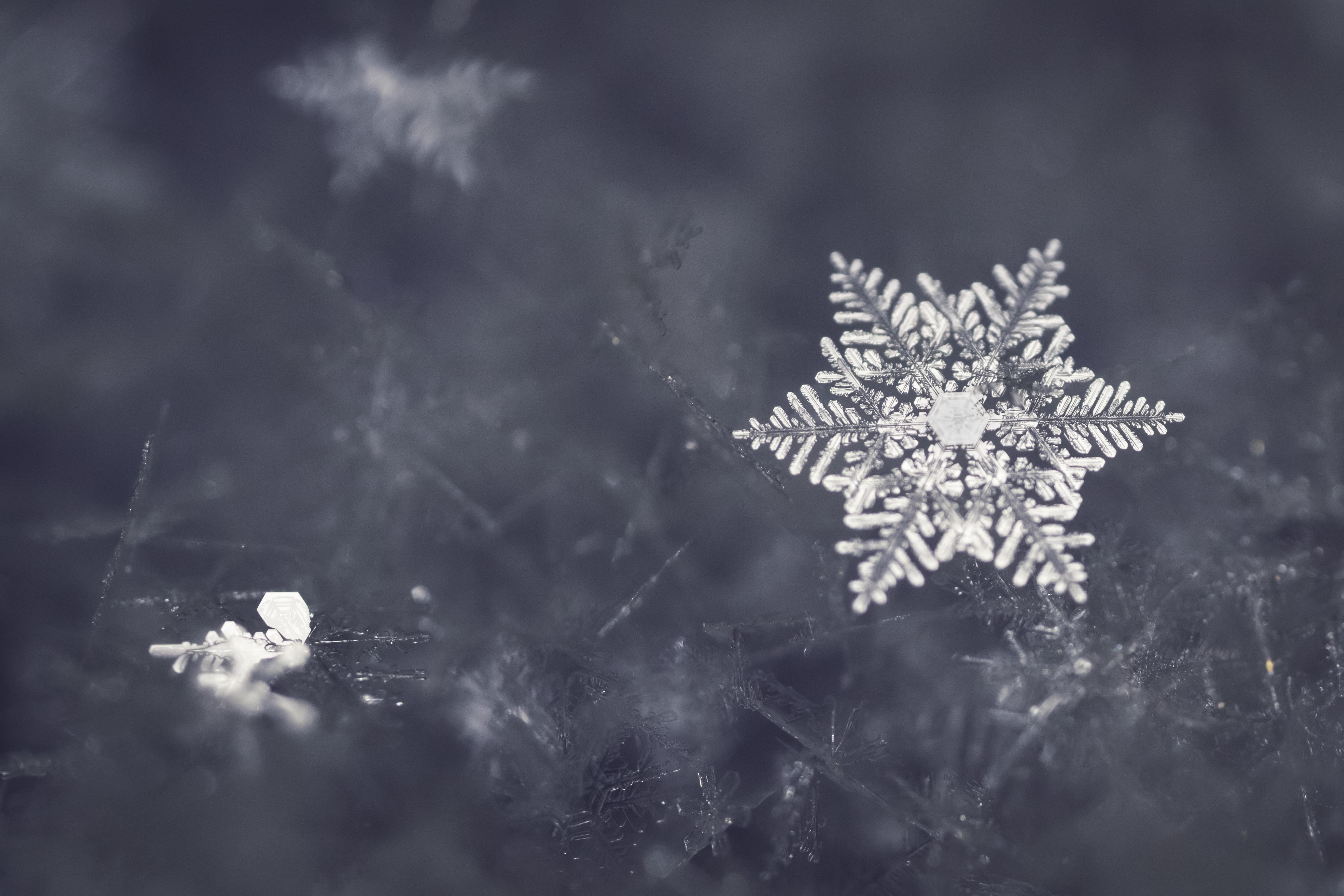 Snowflake. | Scrolller