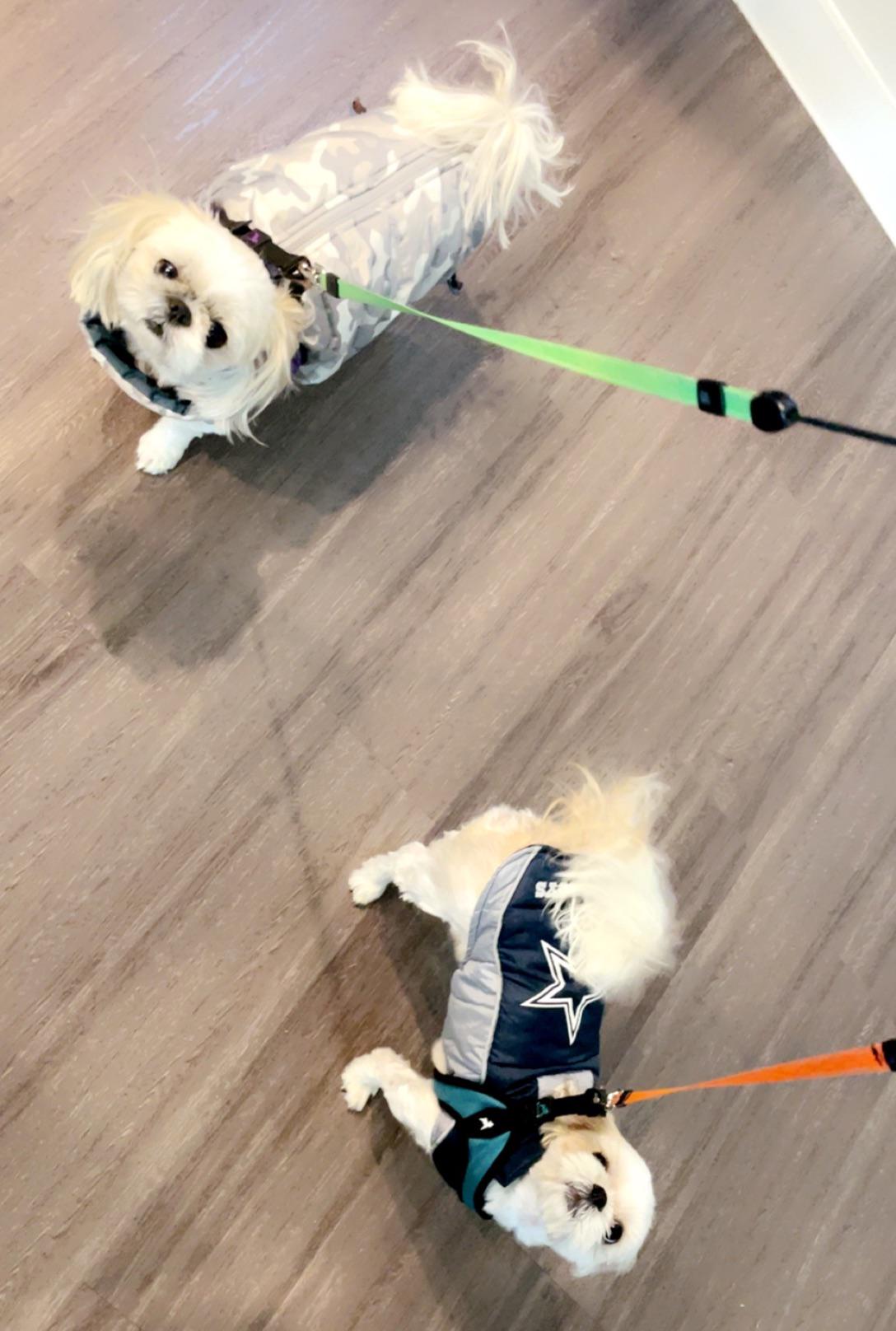 Old Coats New Winter 🥶 | Scrolller