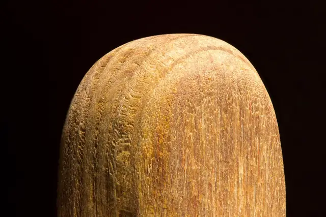 [OC] Some very well preserved petrified wood, Willamette Valley OR | Scrolller