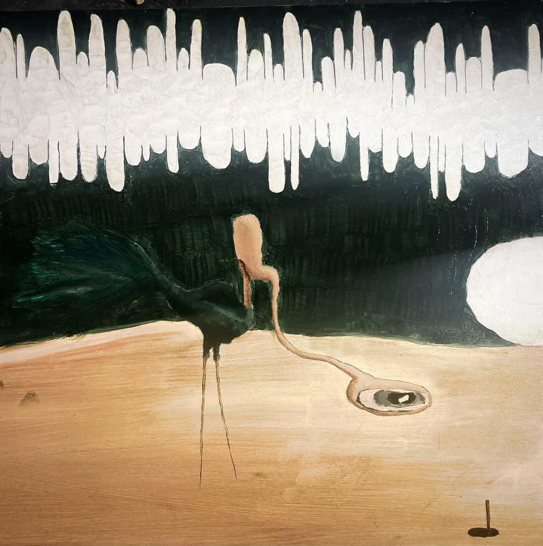 curiosity | Scrolller