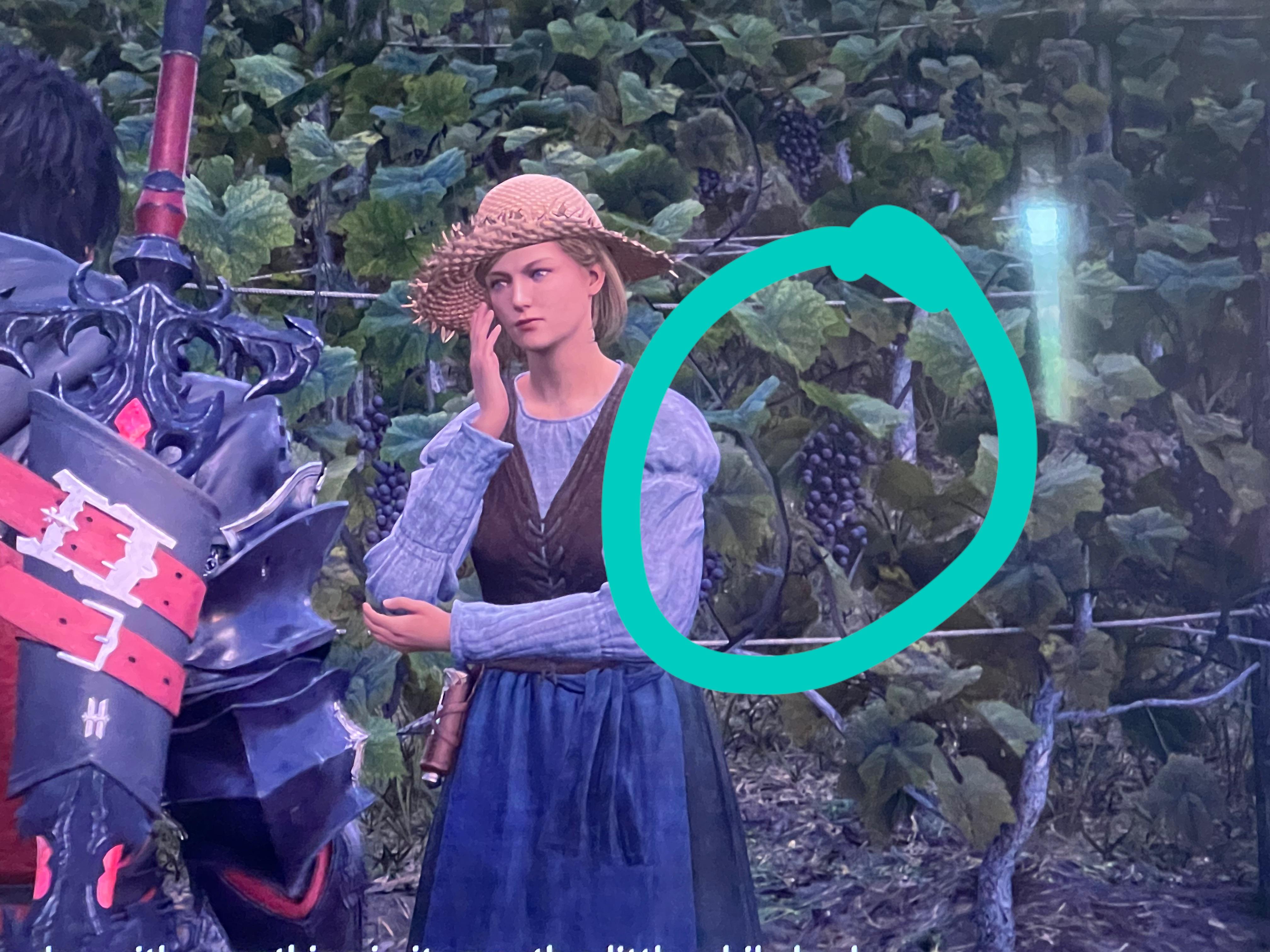 What shape are these grapes | Scrolller