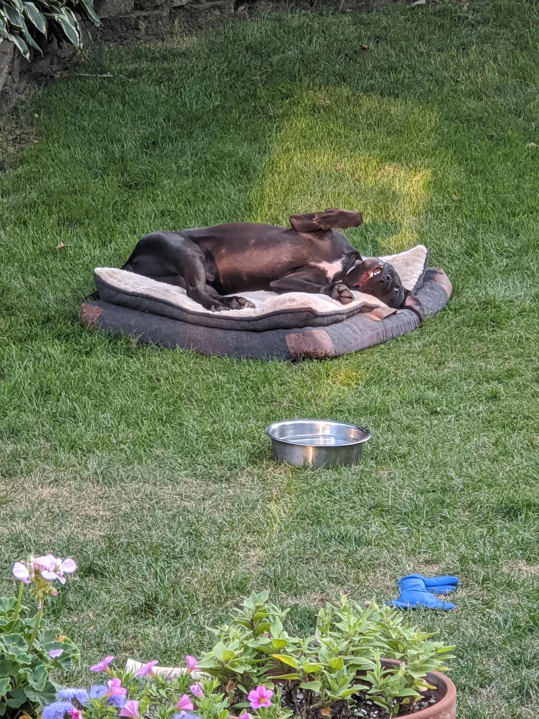 He's my very best friend forever | Scrolller