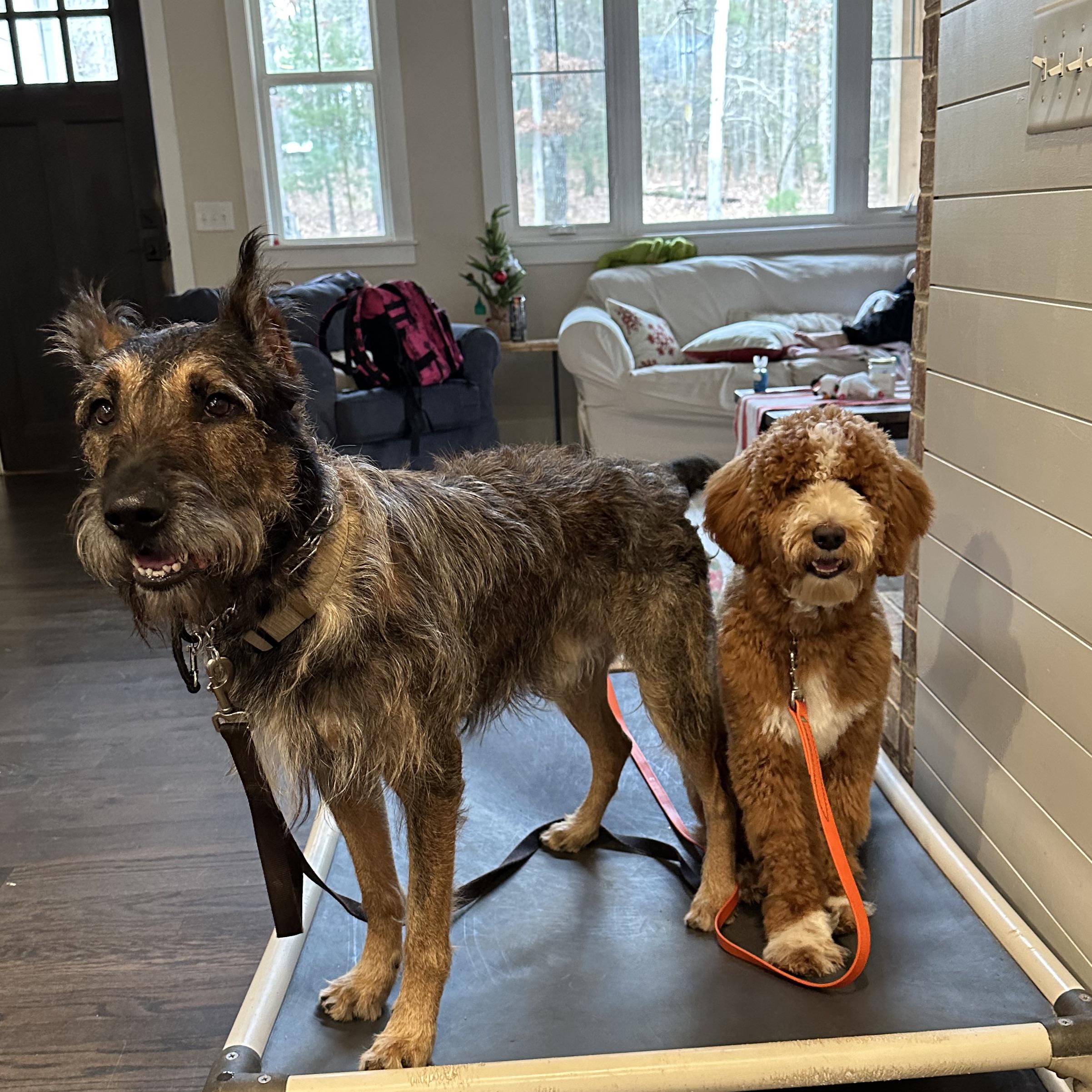 Two of my favorite students | Scrolller