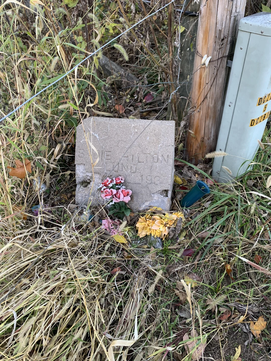 Witches grave | Scrolller