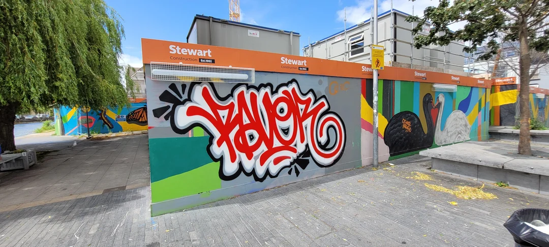 RAVER | Spotted in Portobello, Dublin | Scrolller