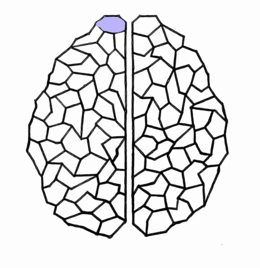 Day 1 Complete | Scrolller