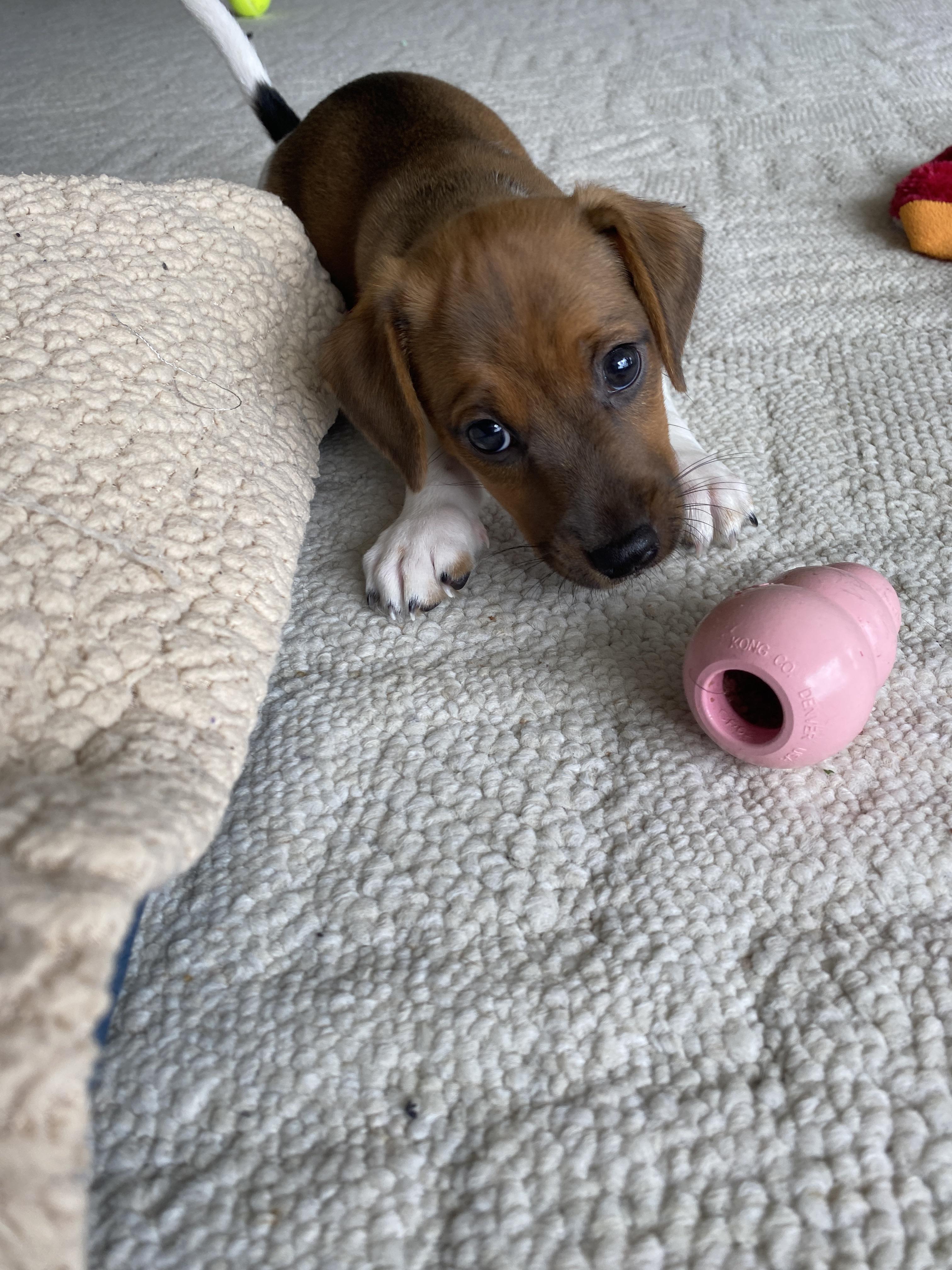 Just chillin! | Scrolller