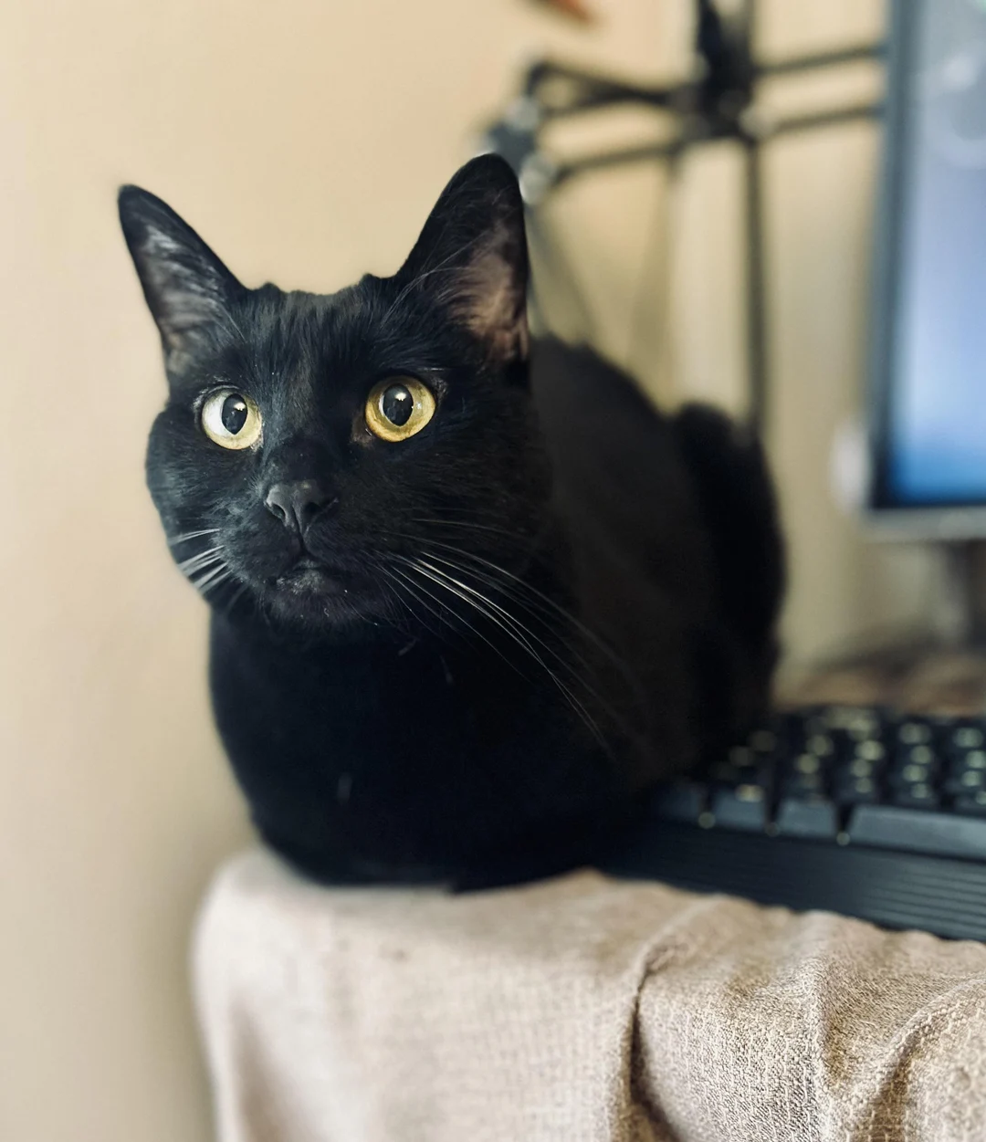 Rate her loaf | Scrolller
