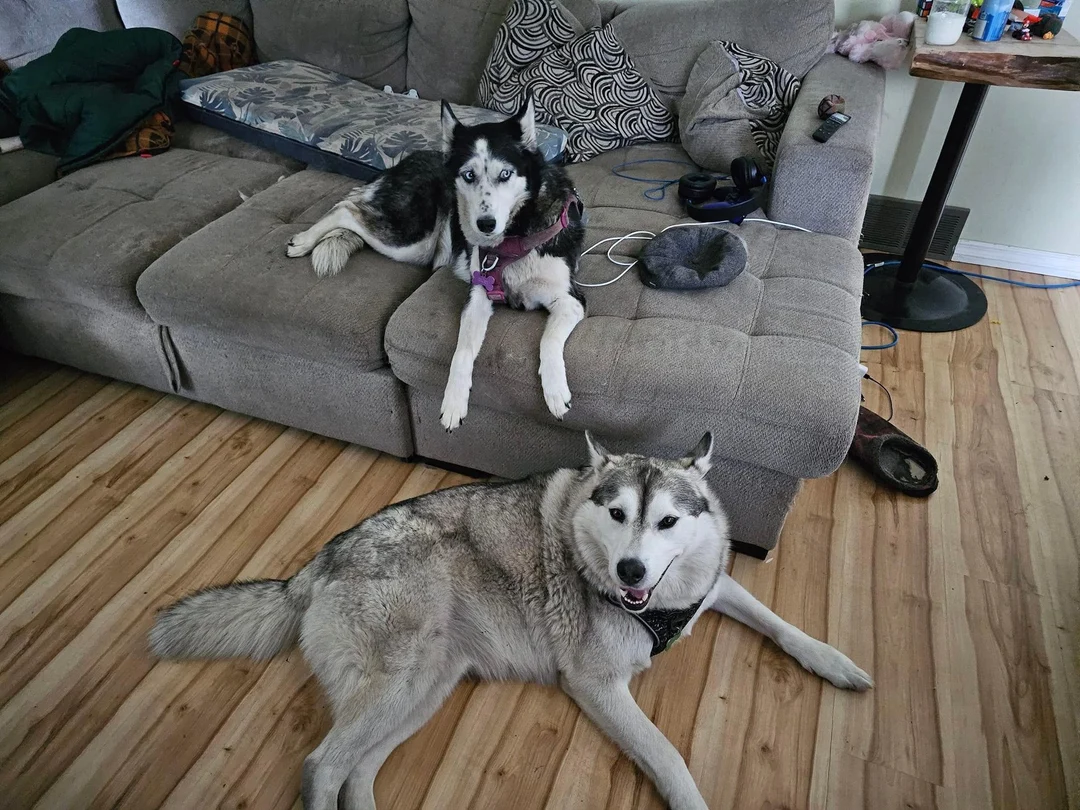 Suki is suspicious | Scrolller