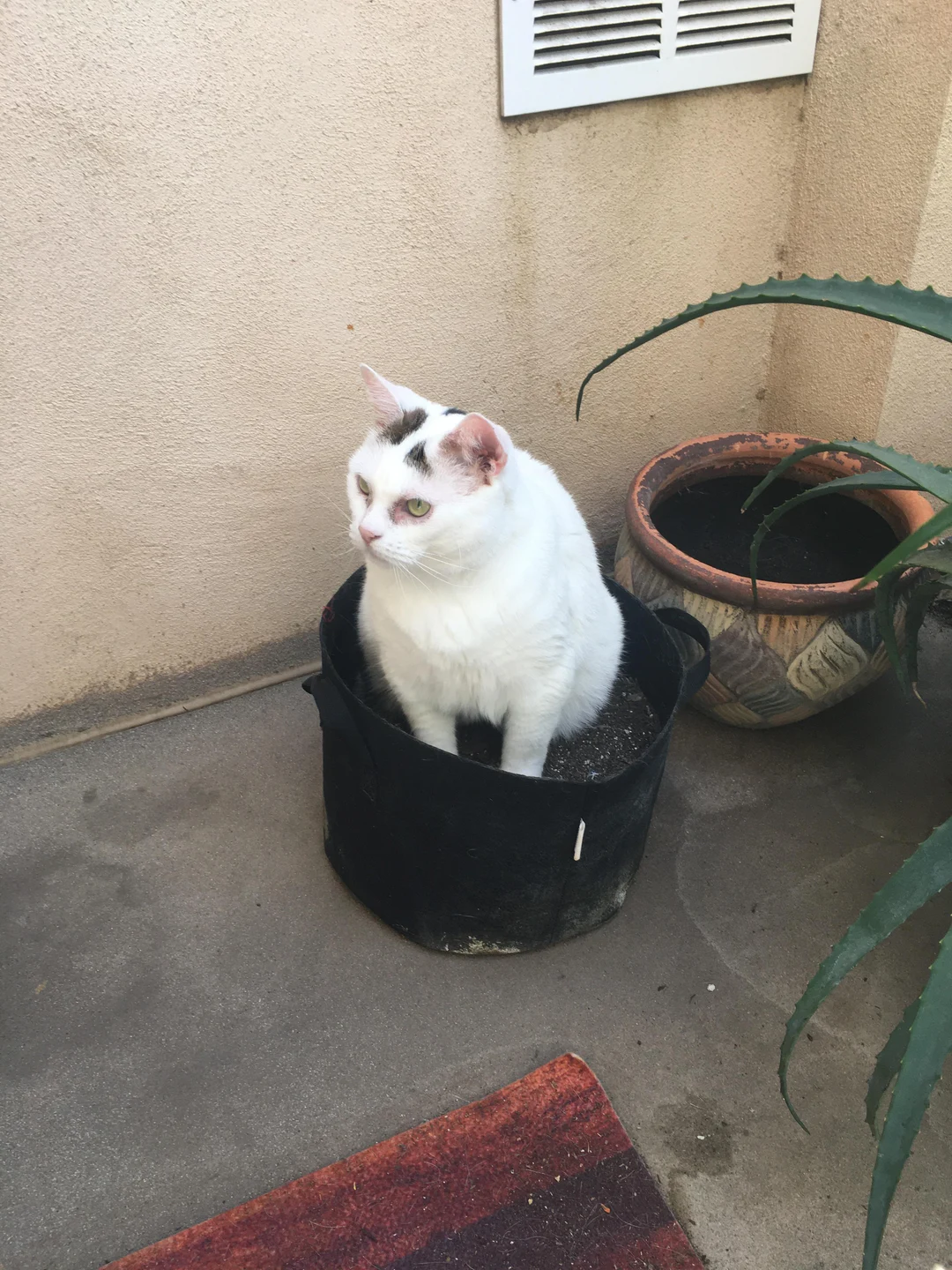 My harvest was bountiful this season | Scrolller