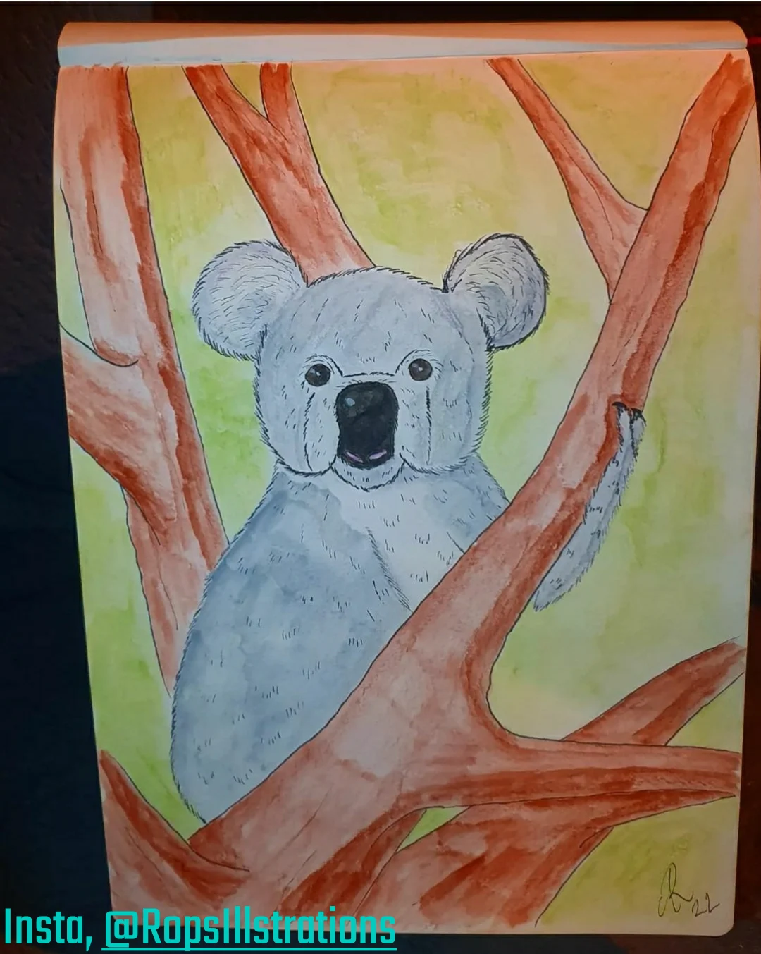 Ink and aquarelle of a Koala (OC) | Scrolller