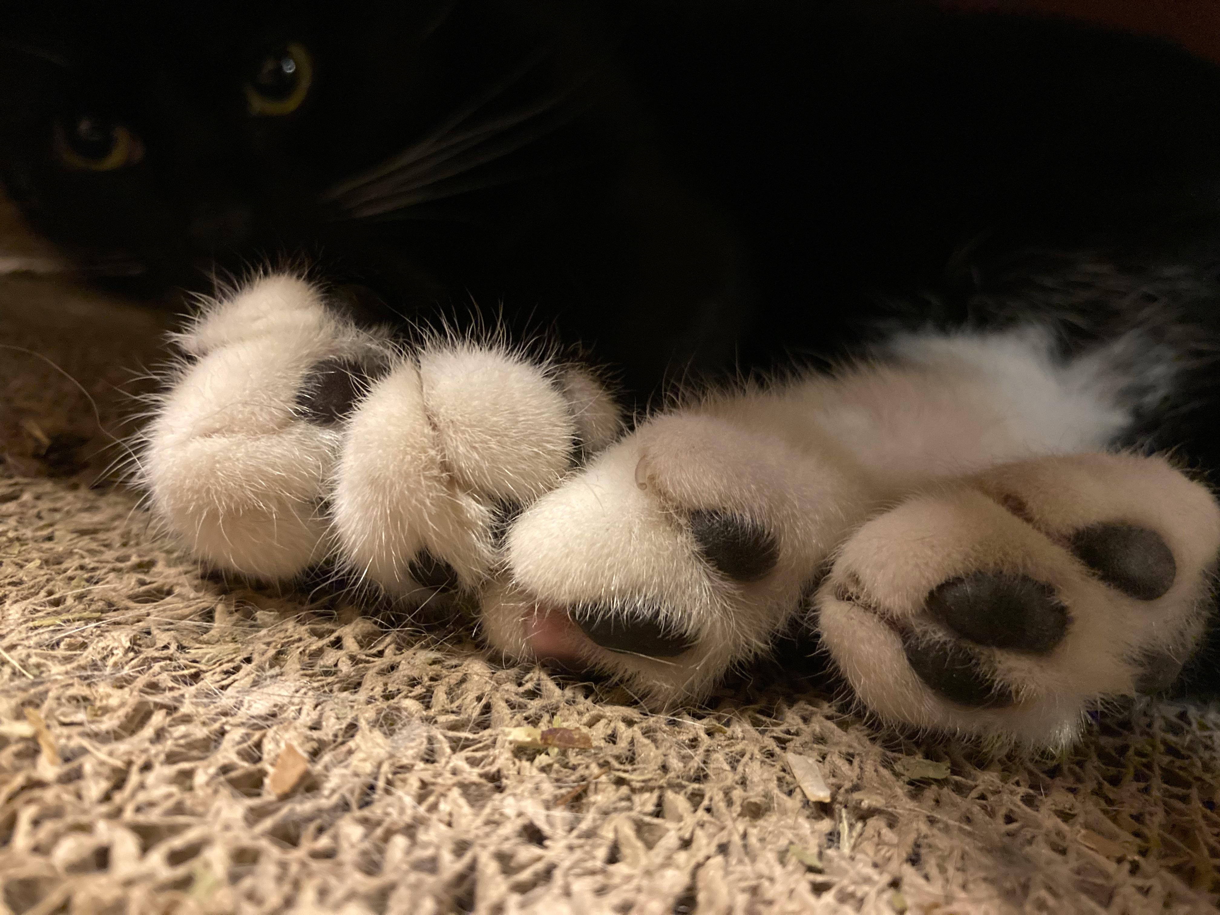 freshly baked beans 😮‍💨 | Scrolller