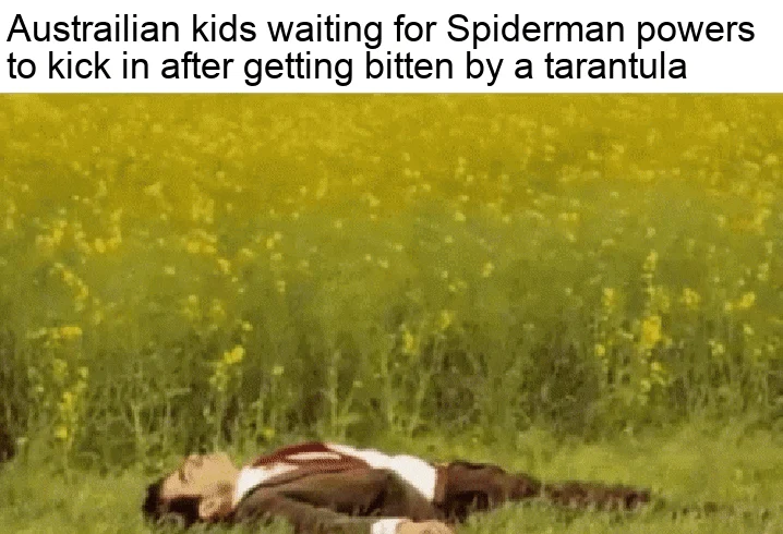 They have many spiders | Scrolller