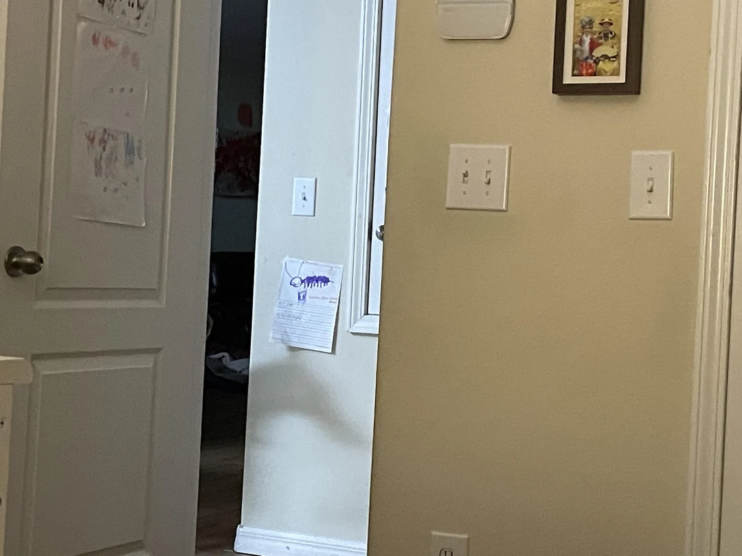 What snacks dwell in the closet? The Shadow nose! | Scrolller