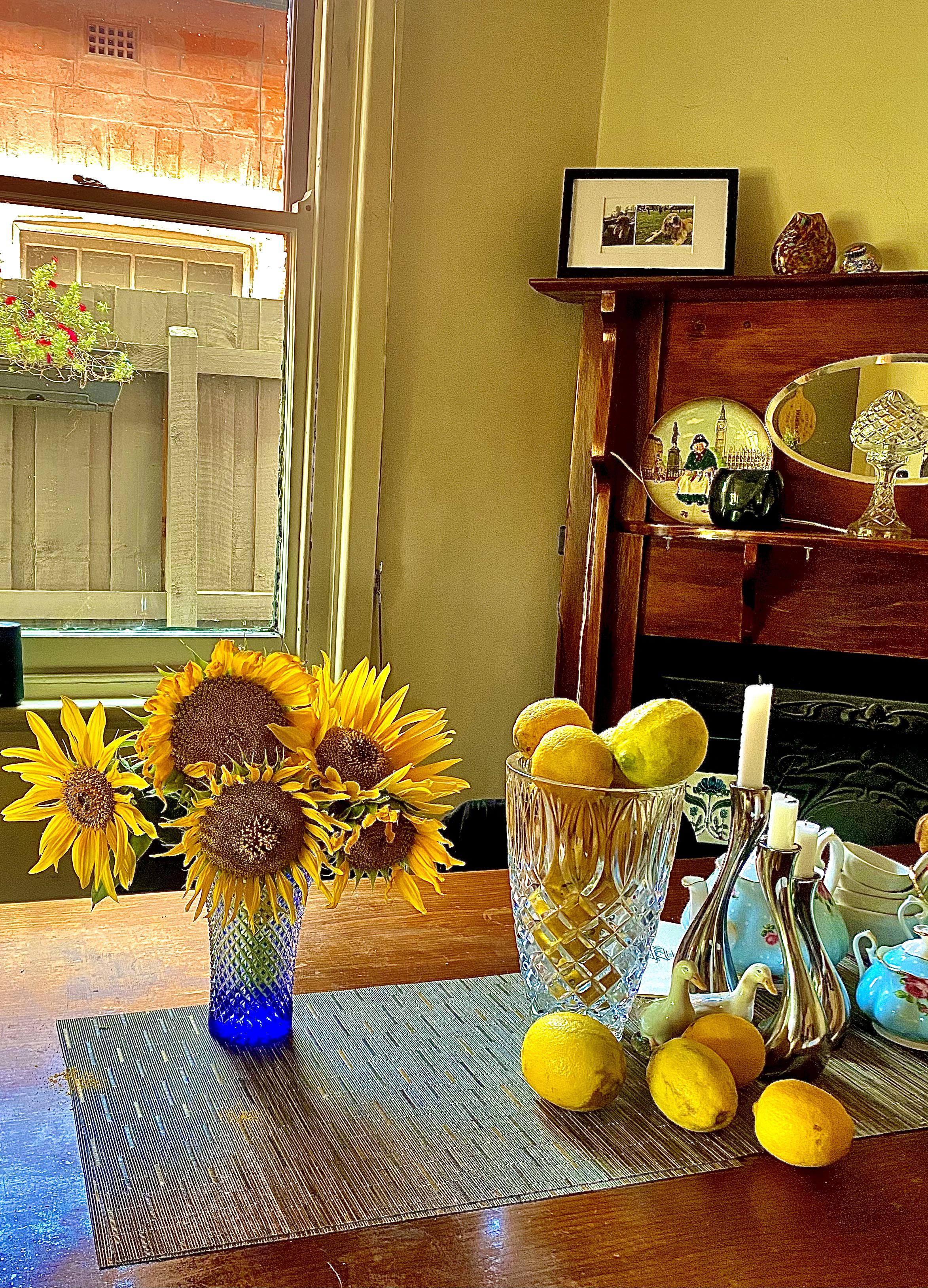 Accidental Cezanne | Scrolller