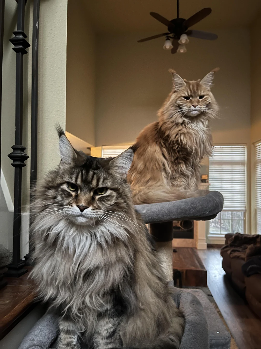 The girls mean mugging. | Scrolller