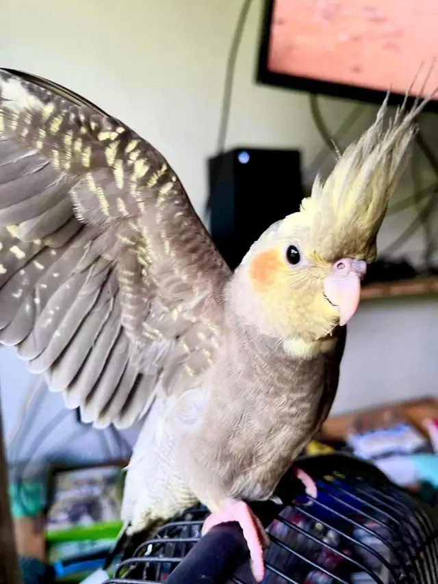 What about the stance? | Scrolller