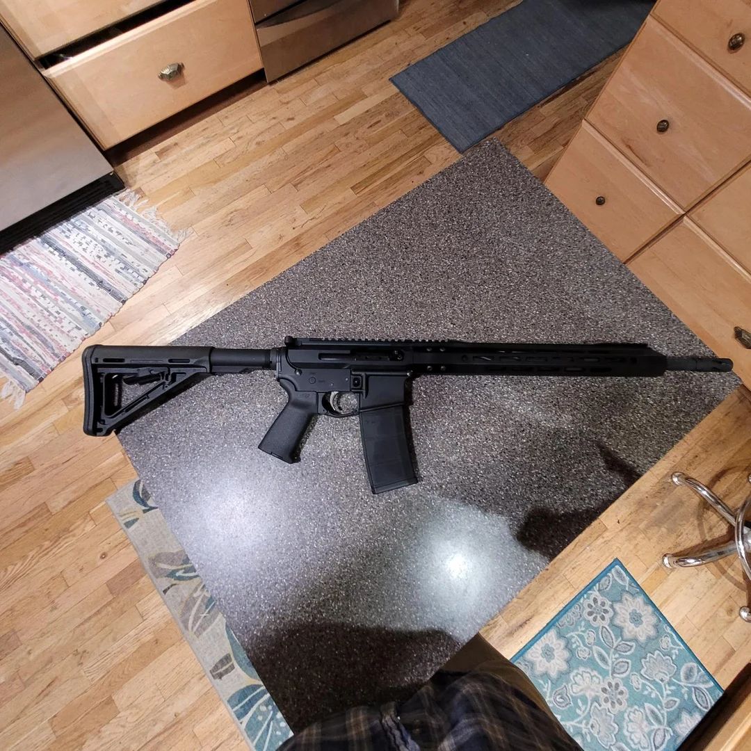 Built My first AR-15 (optics help) | Scrolller