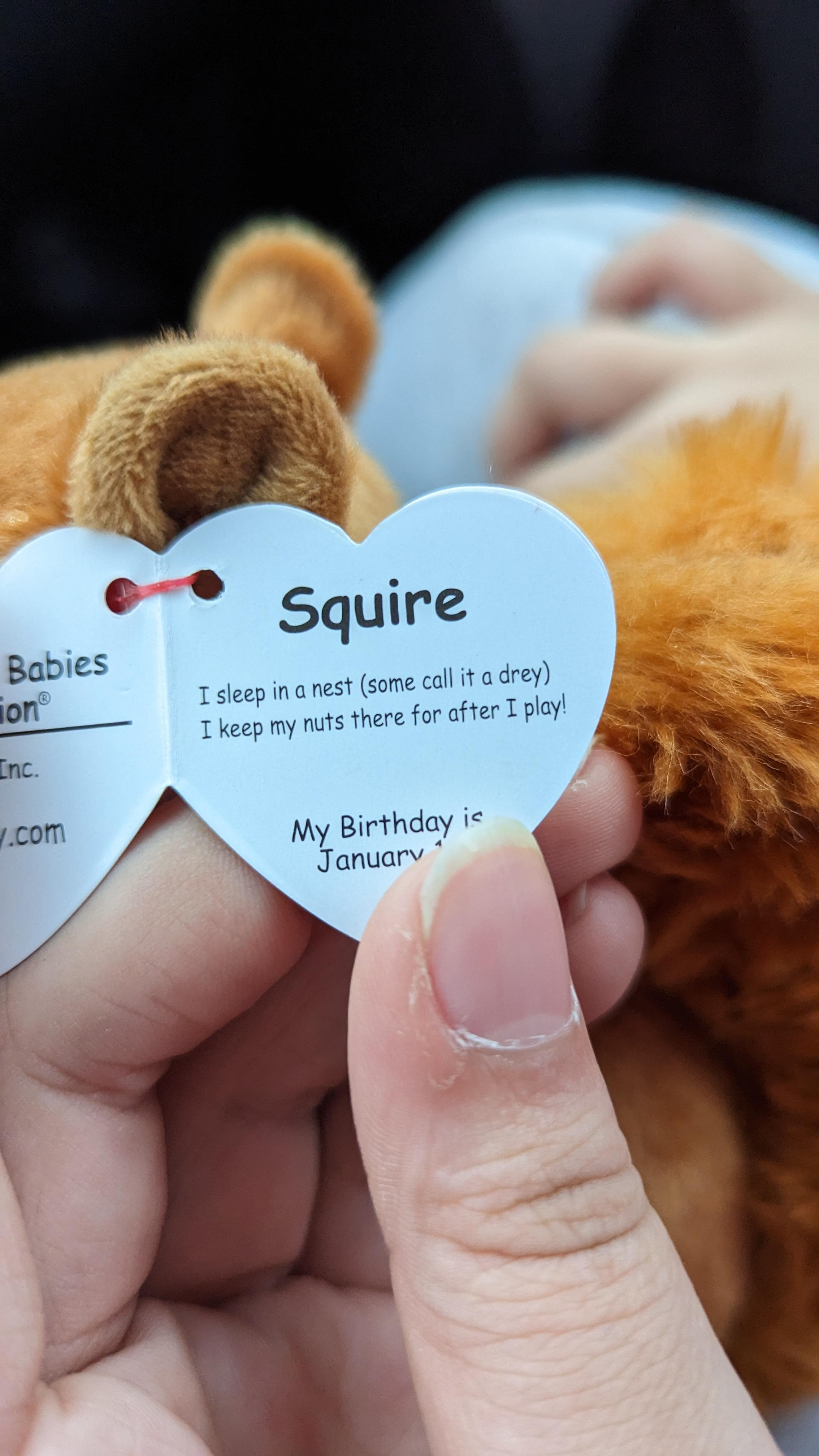 Beanie baby | Scrolller