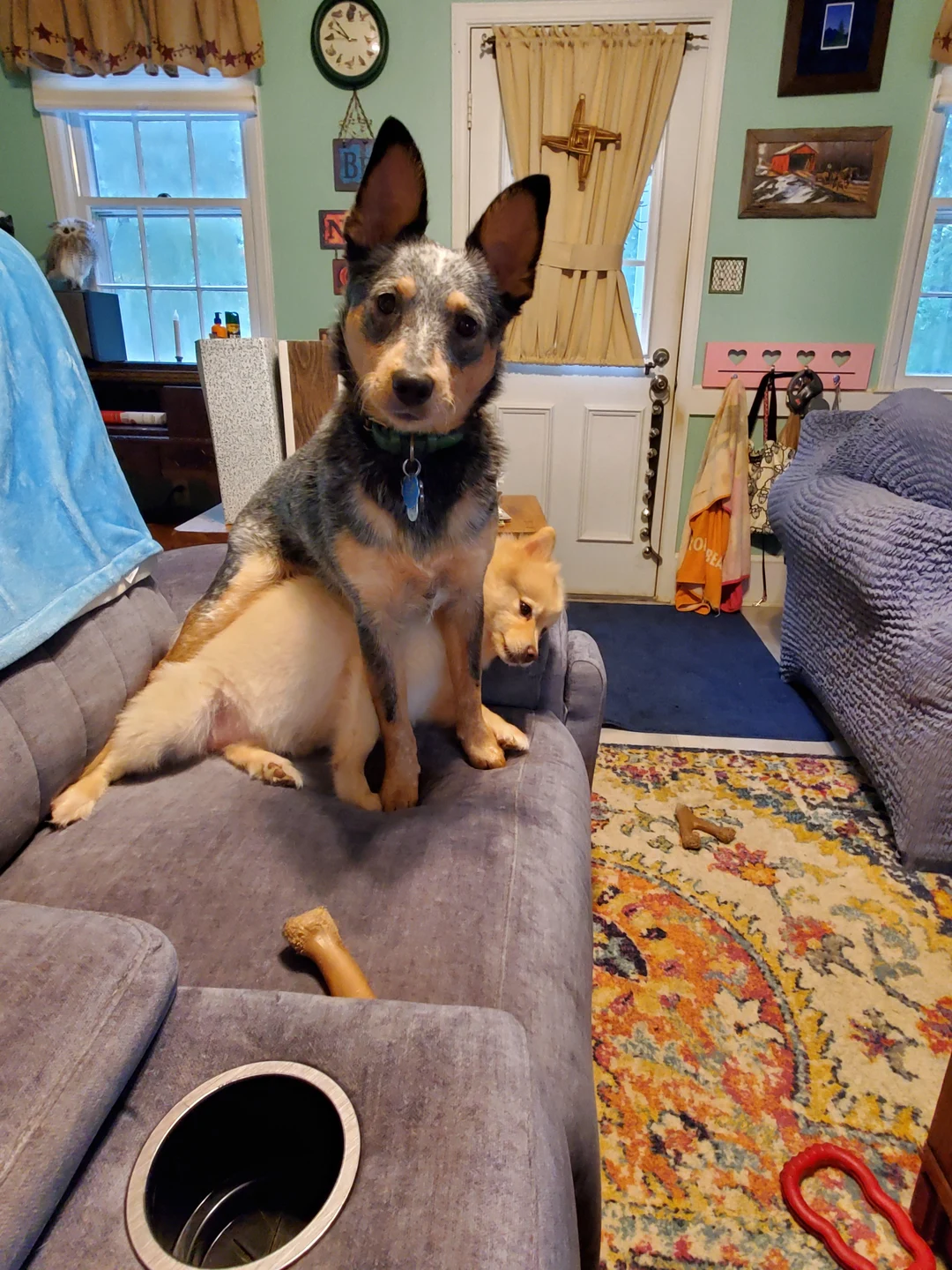 Two Derps | Scrolller