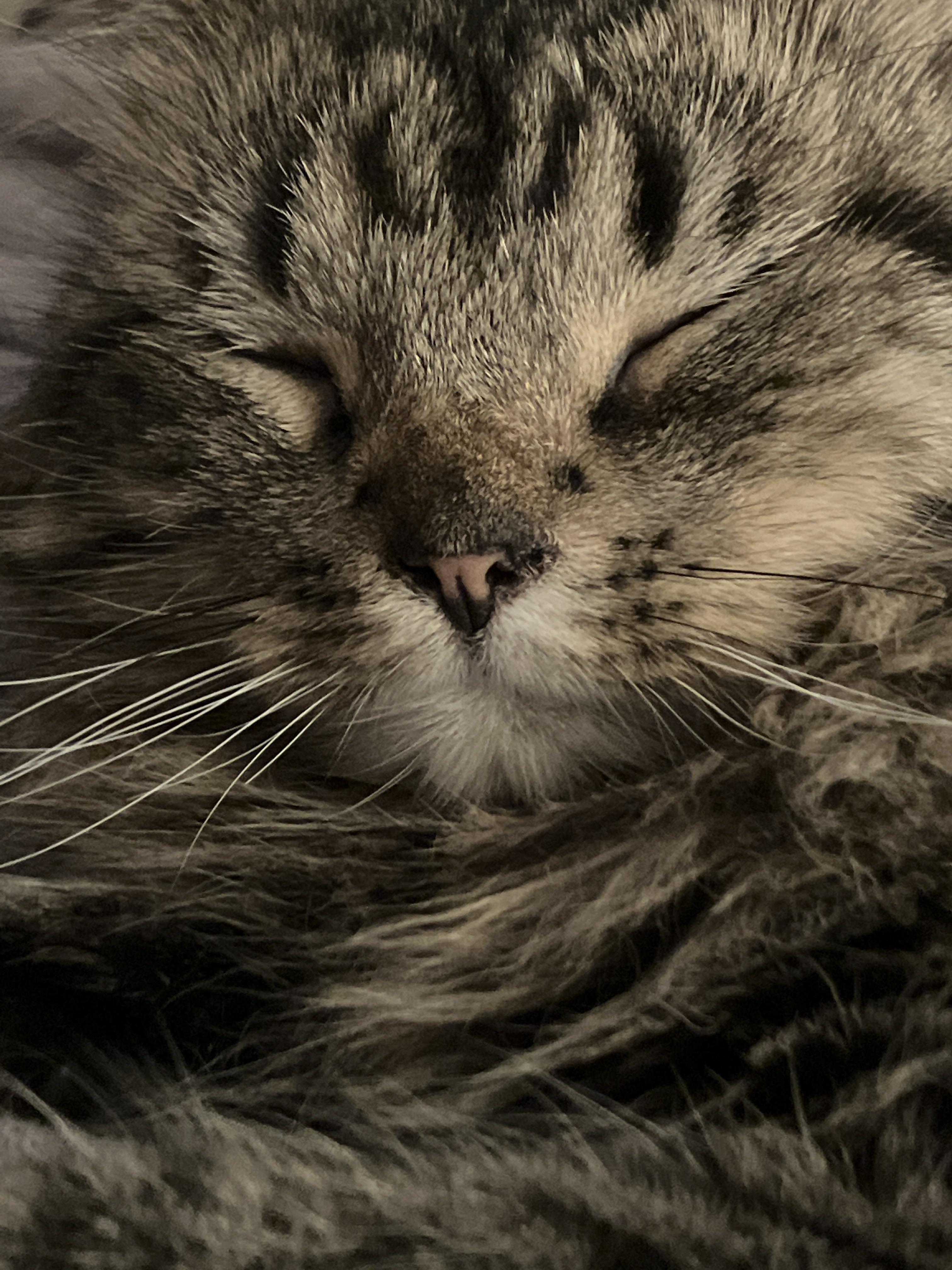 Closeup Scrolller