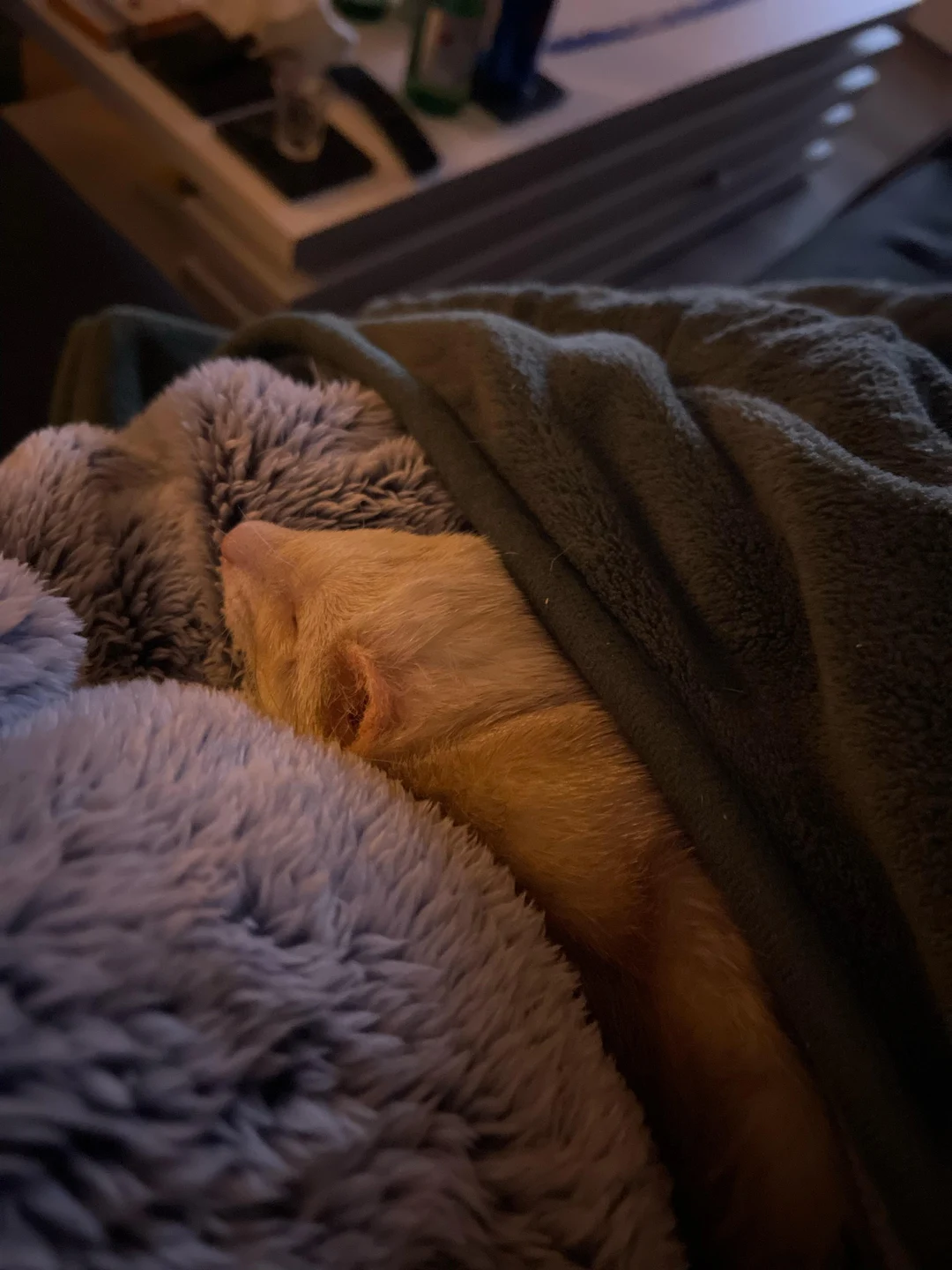 sleepy baby | Scrolller