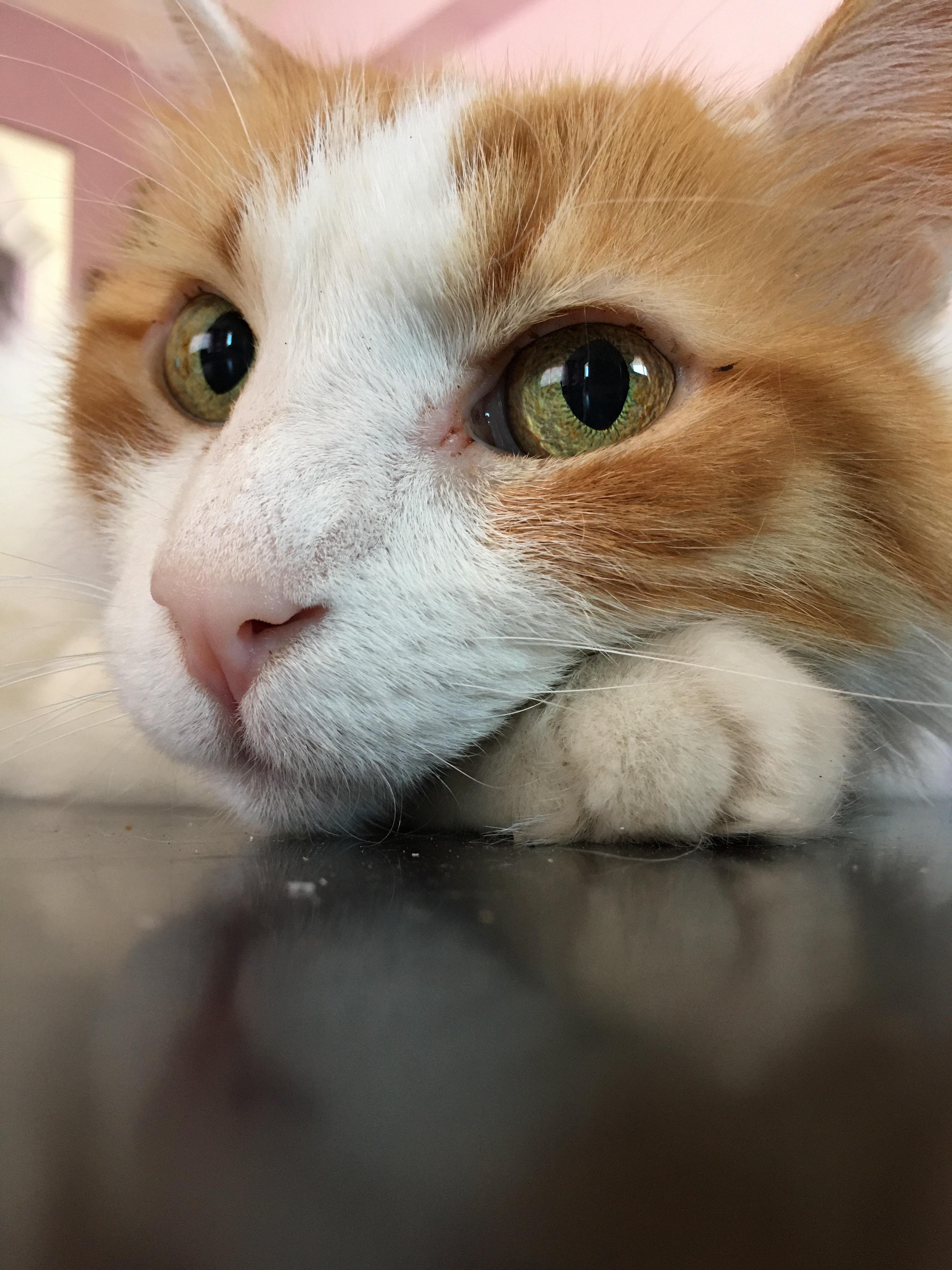 Poser :D | Scrolller