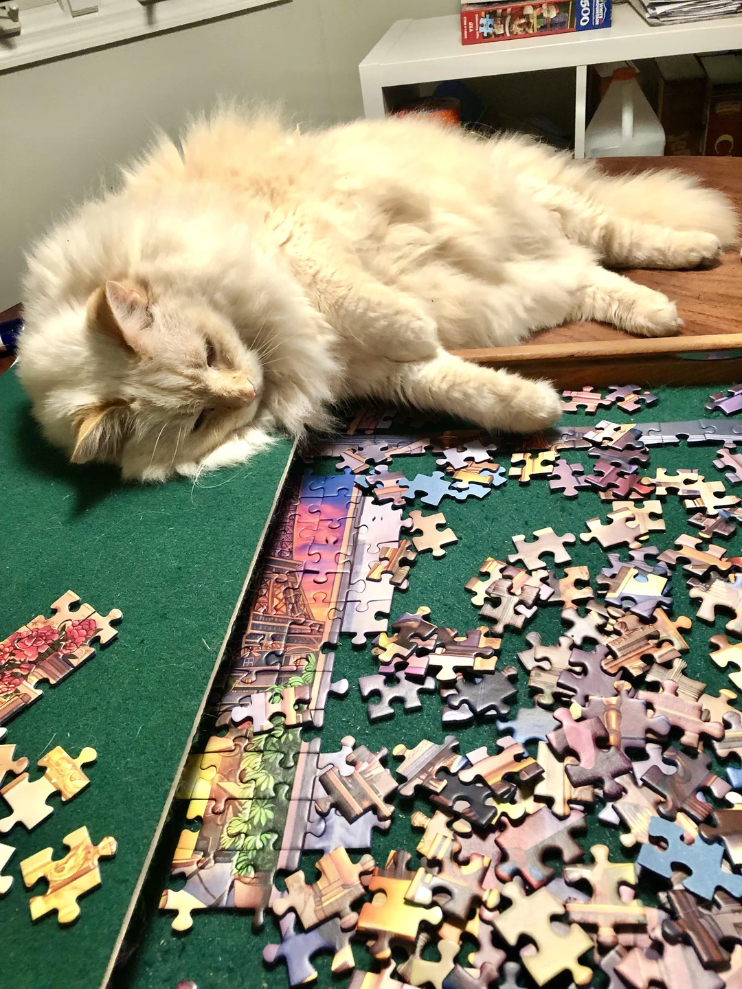 Floofy Puzzle | Scrolller