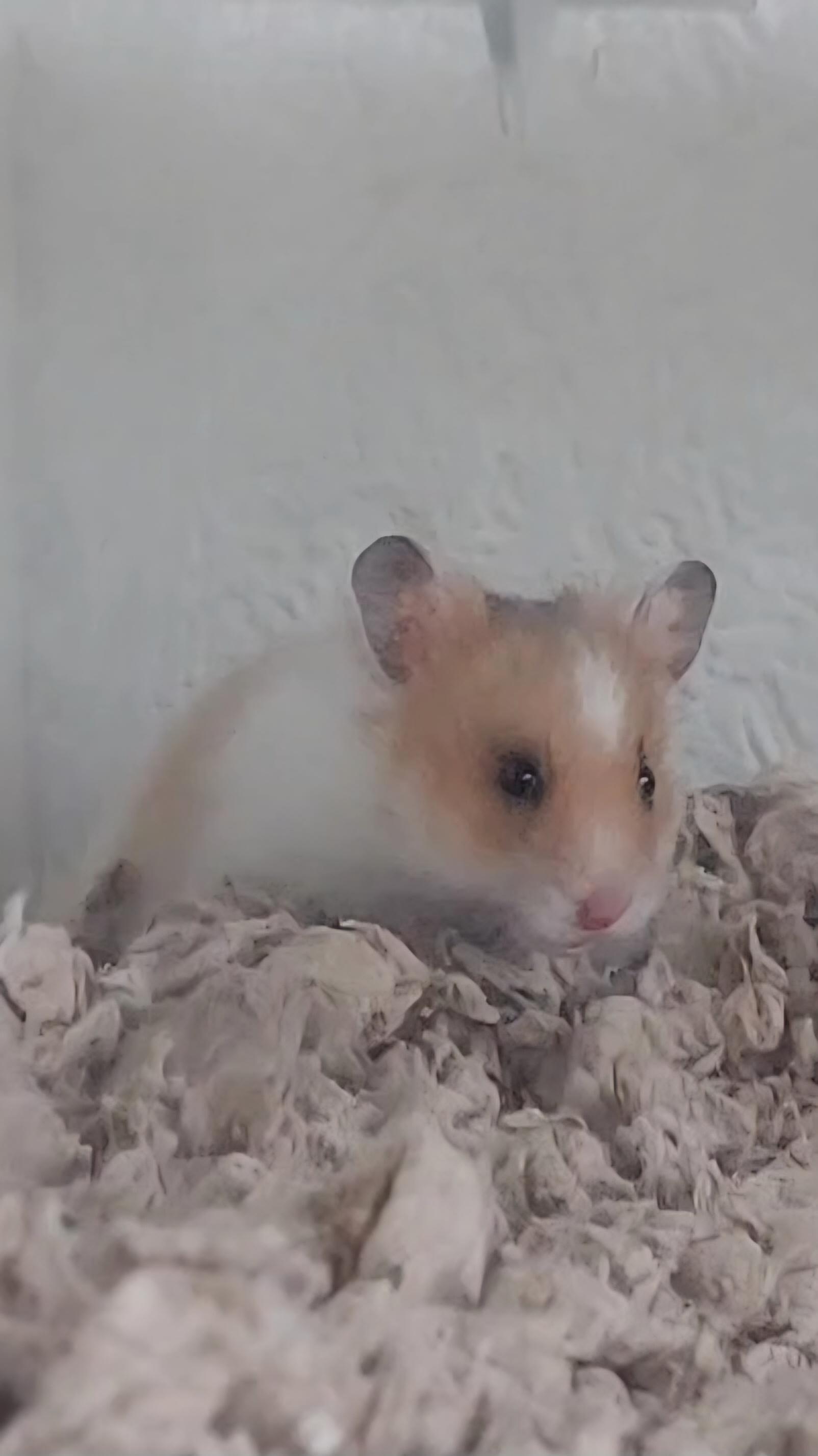 Help choosing name! | Scrolller