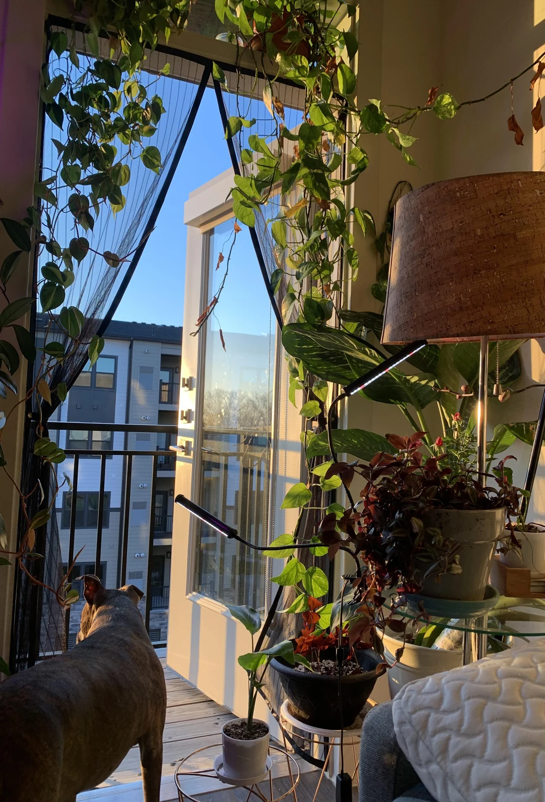 Our place might be small, but it feels a bit magical with the right lighting | Scrolller