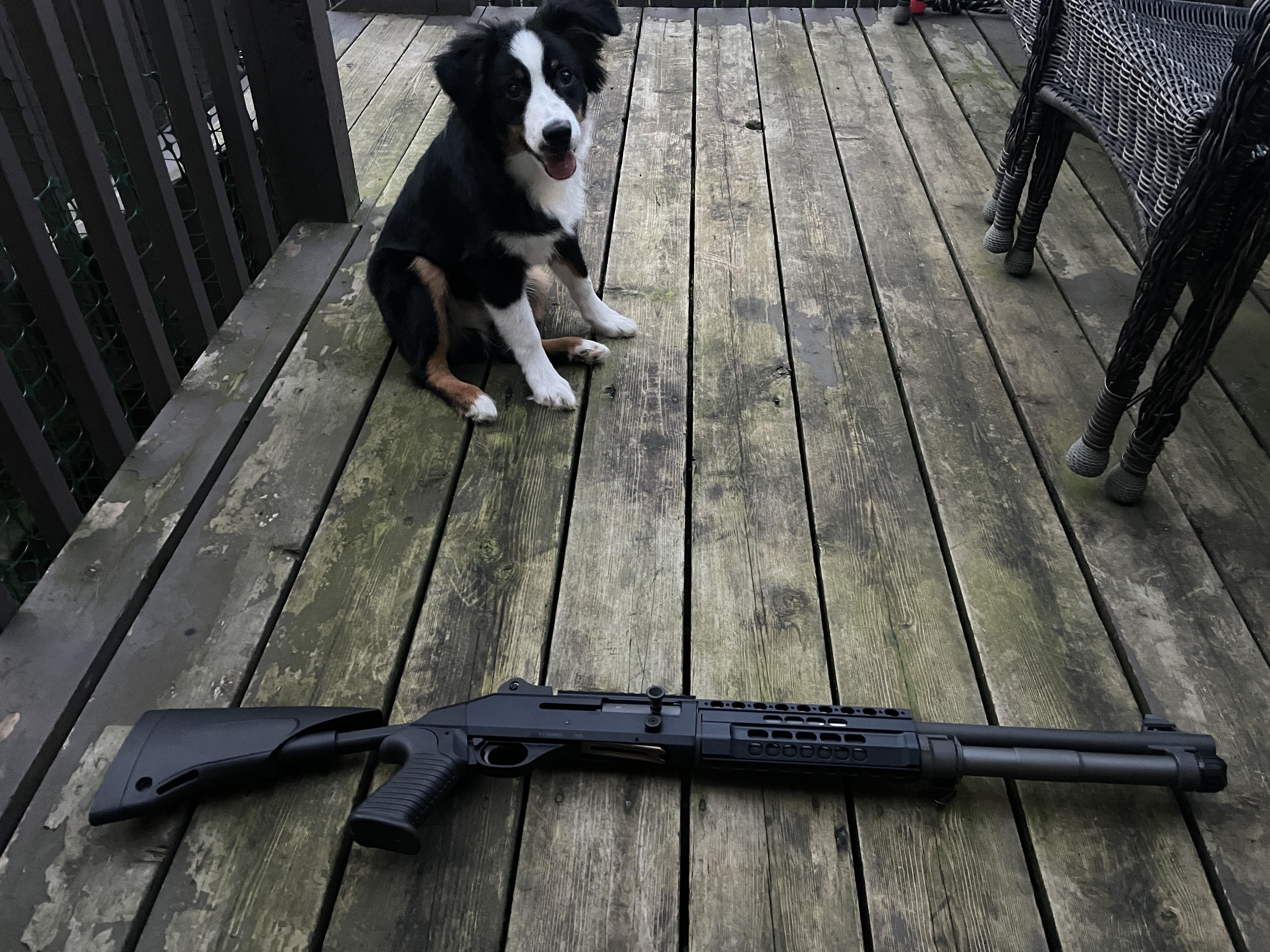 First Shotgun Added to the Collection | Scrolller