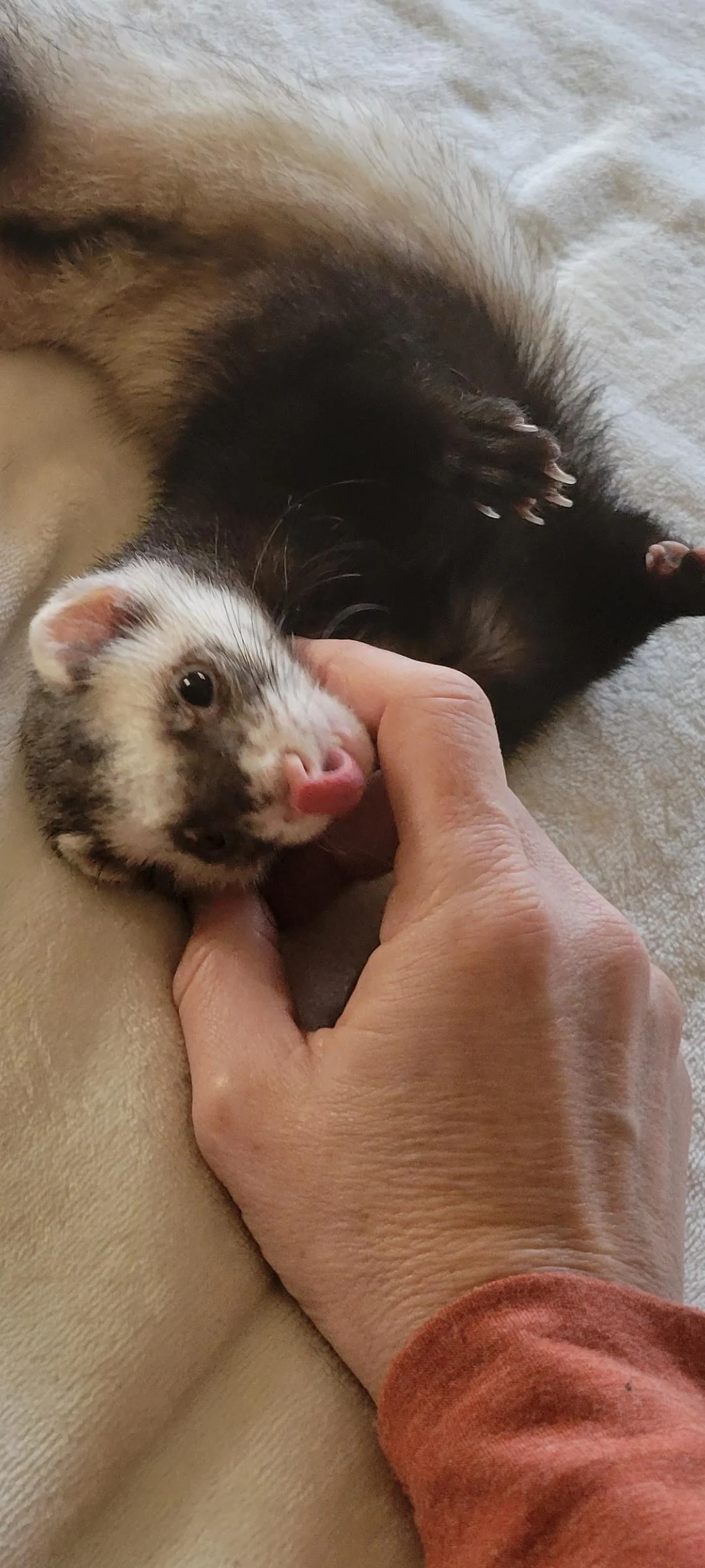 Mid Kisses Scrolller