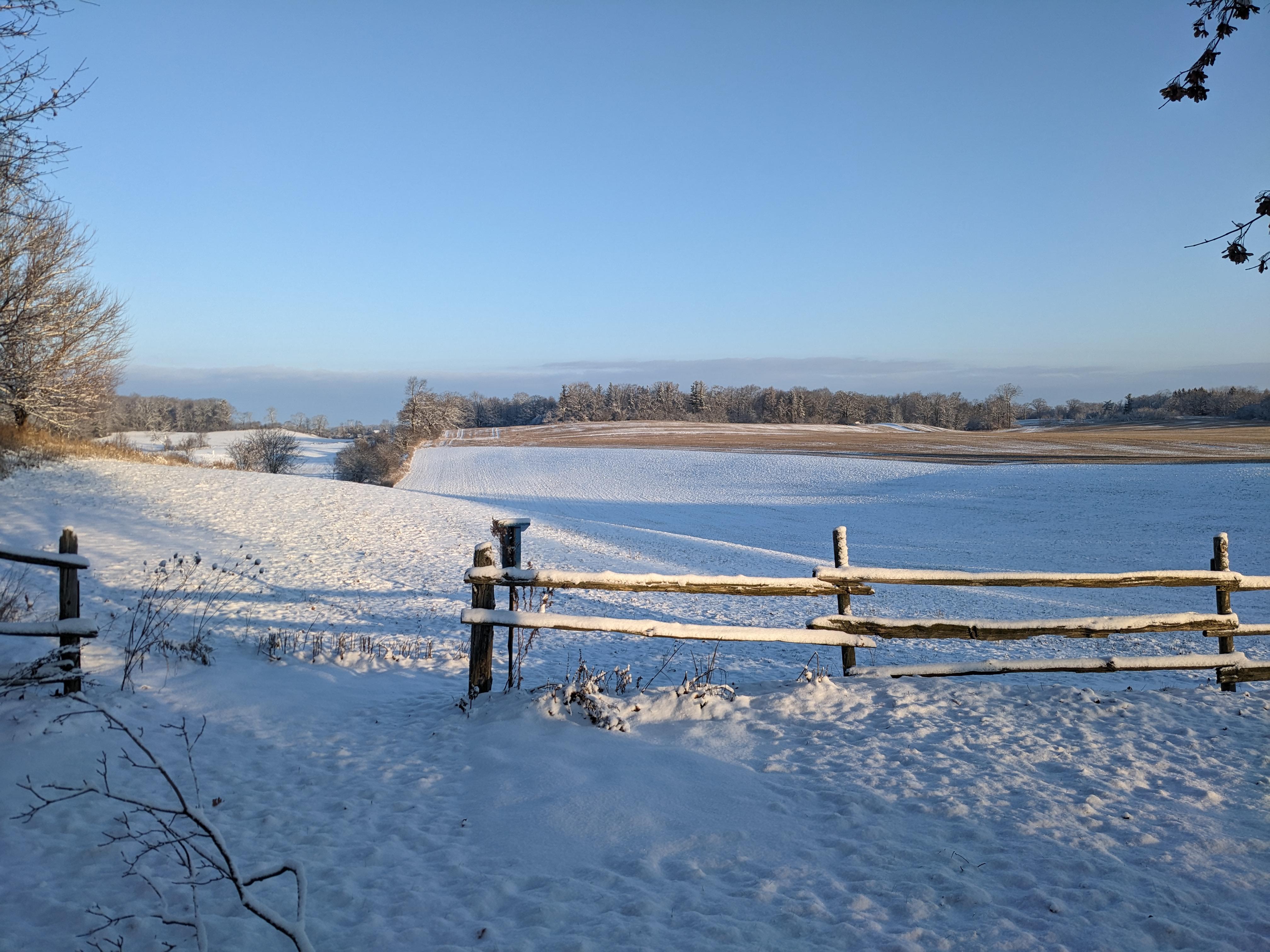 Fresh snowfall, southwestern Ontario [OC][4032x3024] | Scrolller