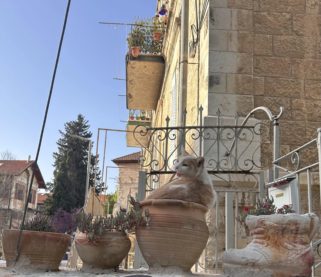 Just trying to blend in | Scrolller