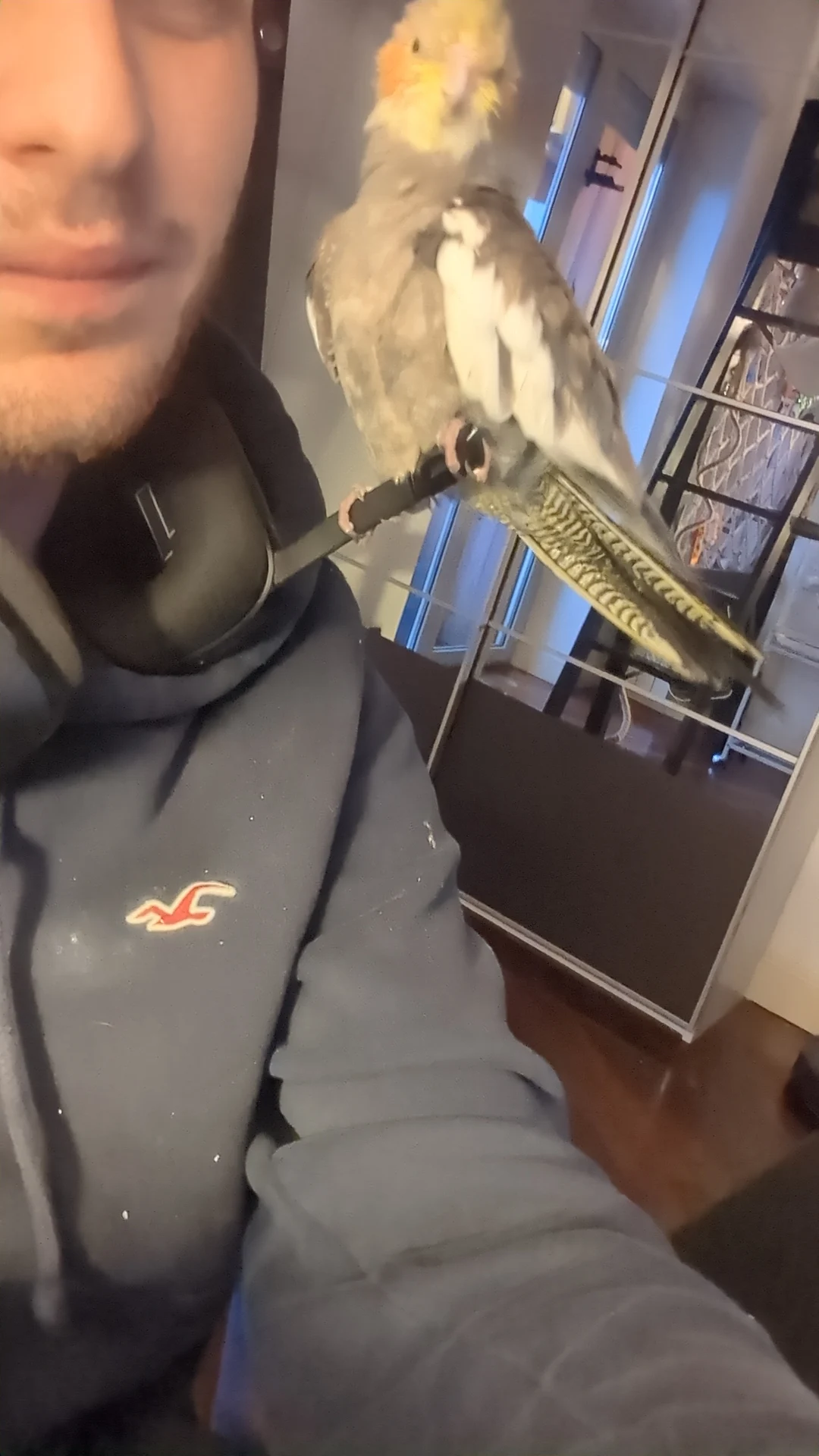 Don't mind me, just keep working.. | Scrolller