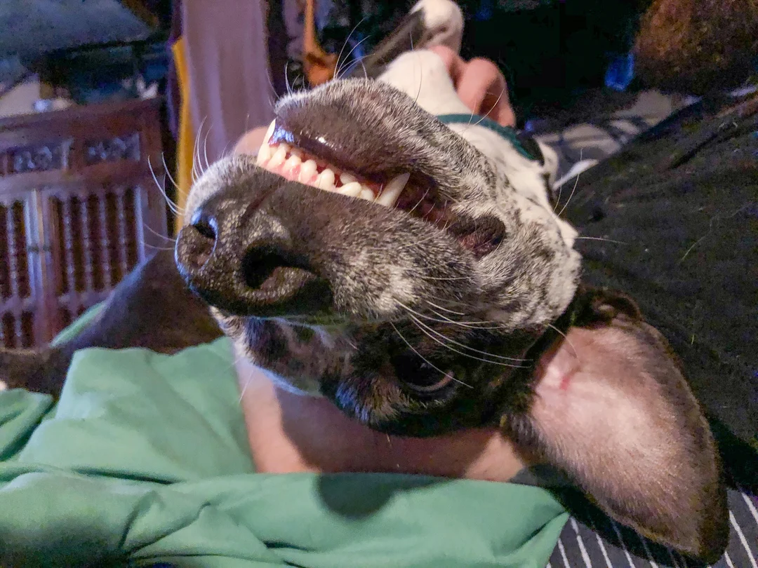 nothing actually wrong, just a weirdo | Scrolller