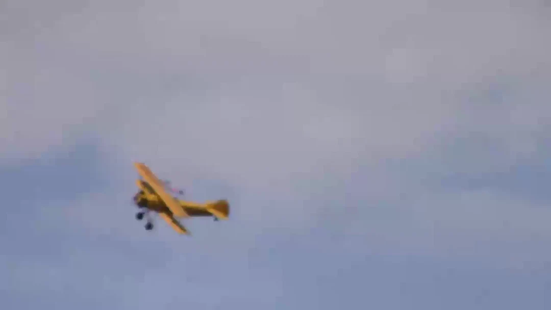 Trudy Truelove falls from airplane, she´s ok dont worry | Scrolller