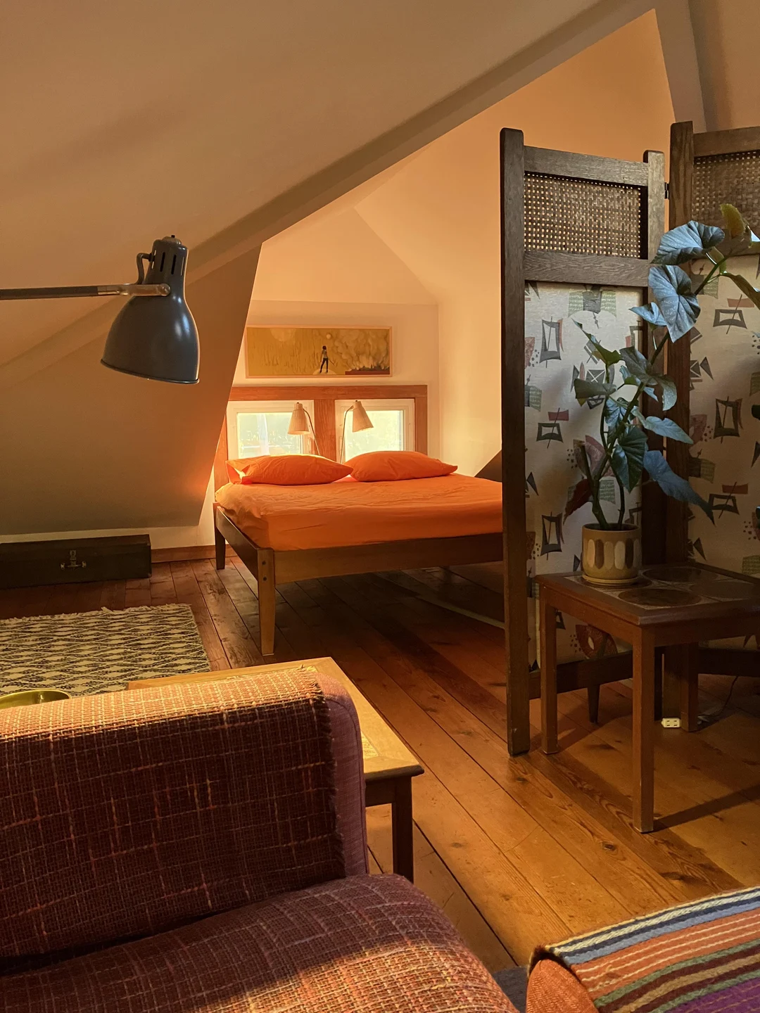 The light in my attic now. No filters. | Scrolller