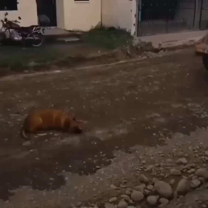 Woah There... | Scrolller