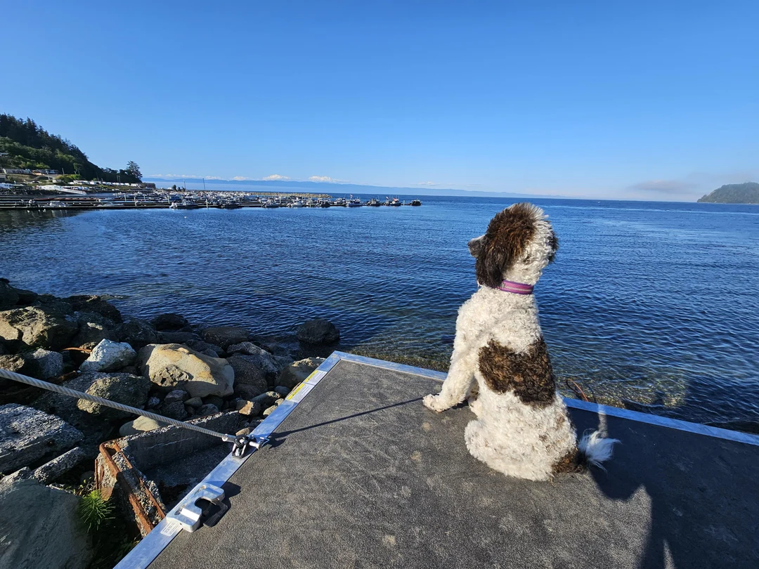 So many smells! | Scrolller