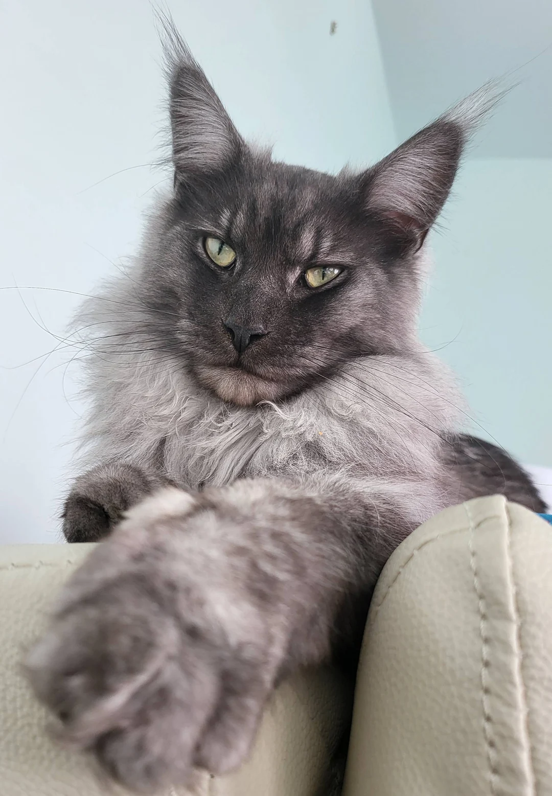 Handsome Bastard | Scrolller