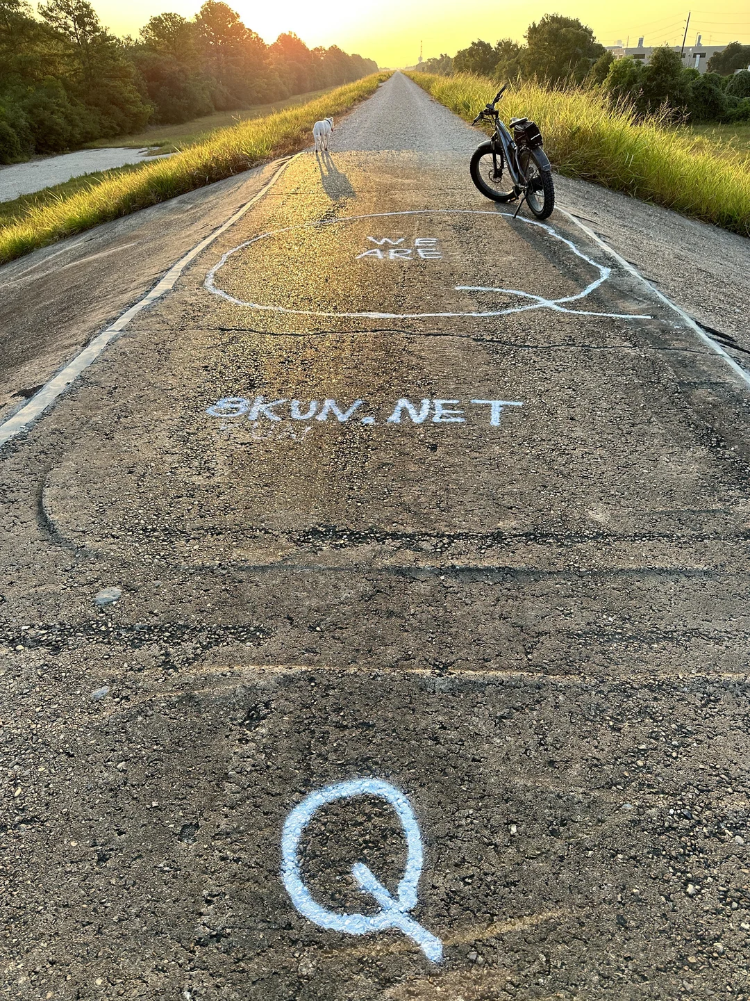 How do I remove this trash graffiti? | Scrolller