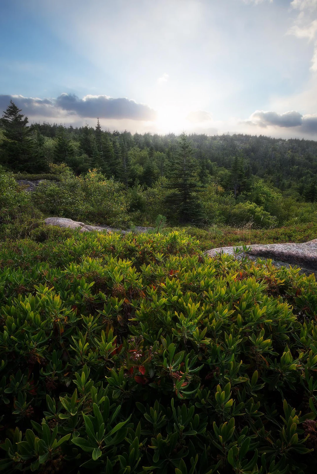 Sunset from Cadillac Mountain in Acadia National Park [1280x1920][OC] | Scrolller