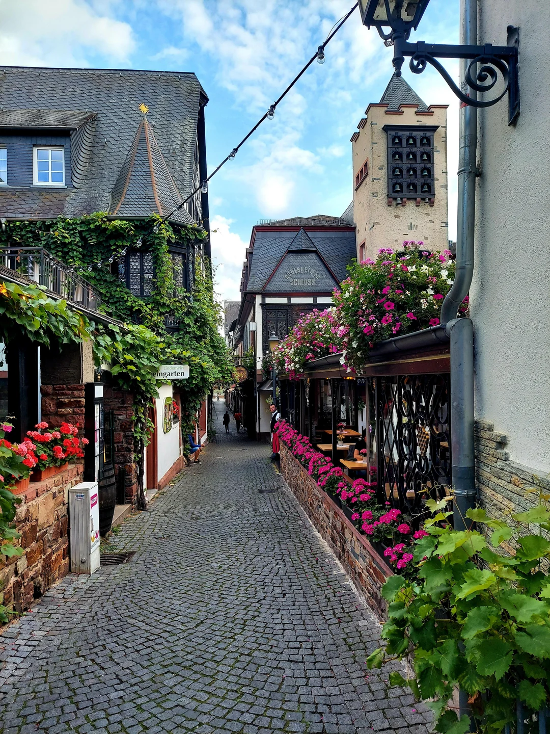Rudesheim, Germany. | Scrolller