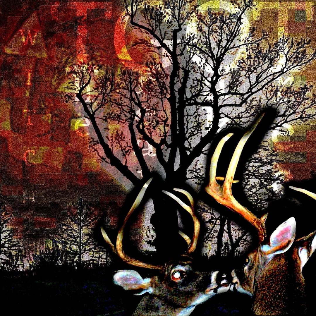 The Great Oak Tree - Witch3s | Scrolller