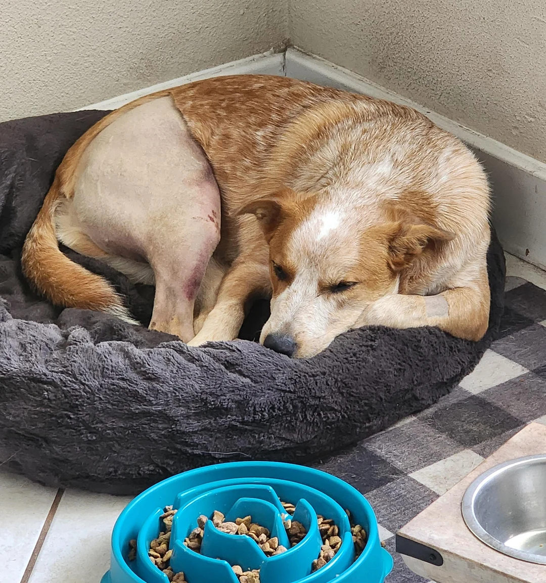 Recovery status: chill mode activated | Scrolller