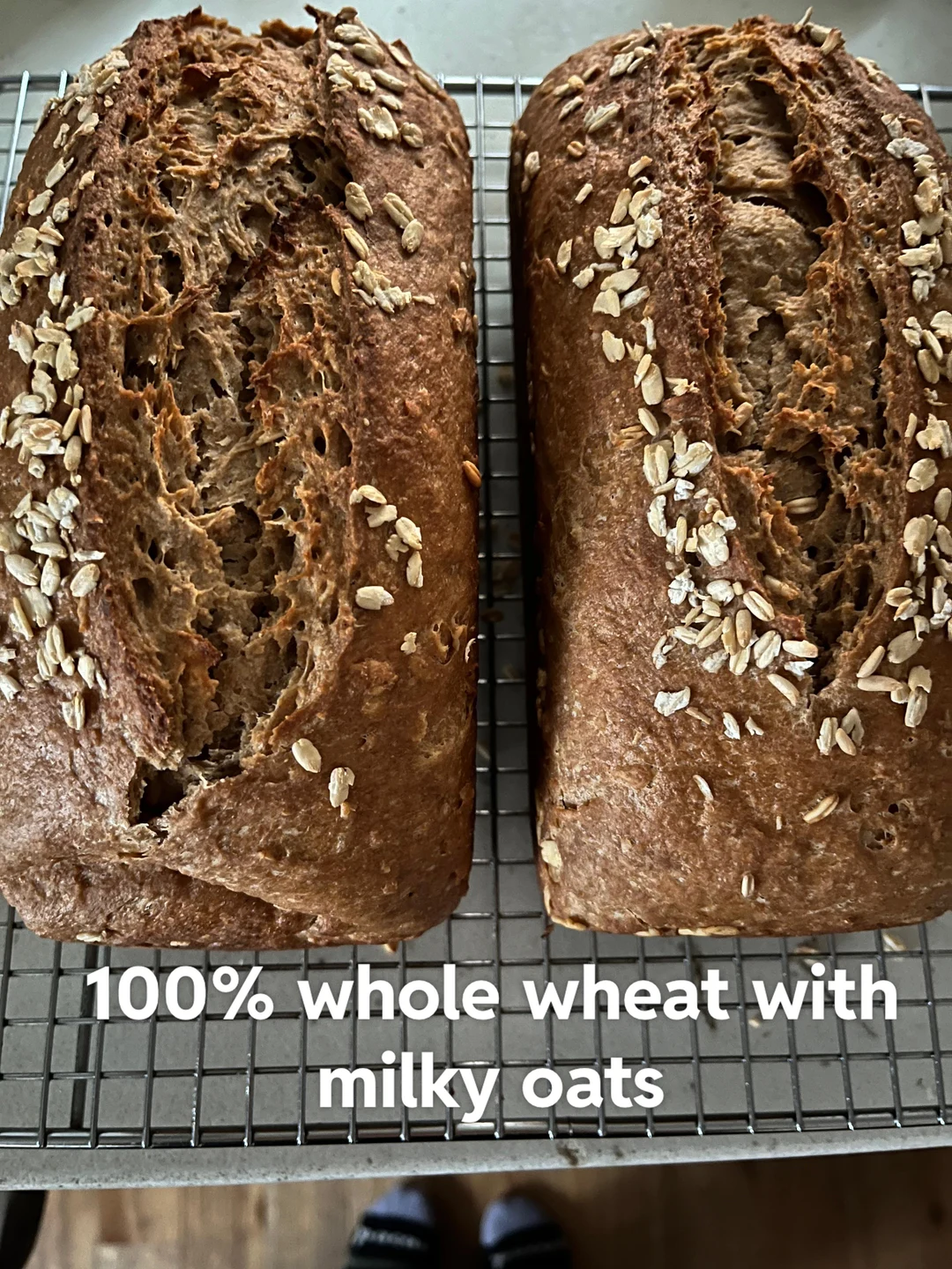 Whole Wheat with Oats | Scrolller
