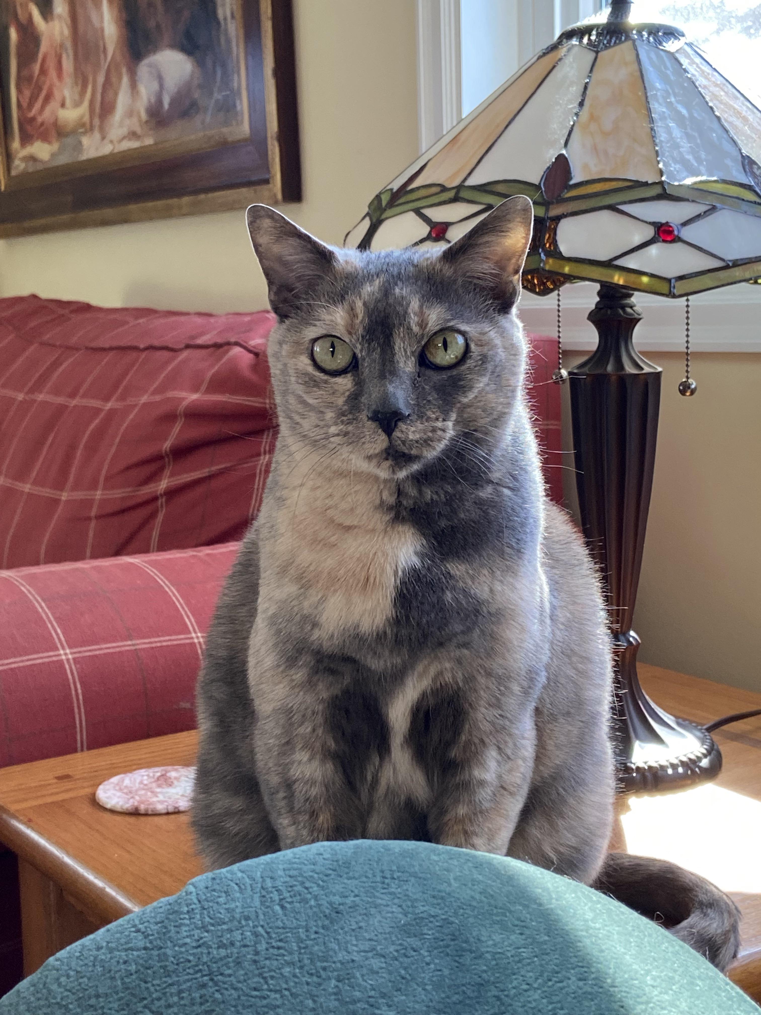 Happy 9th birthday, Daisy! | Scrolller