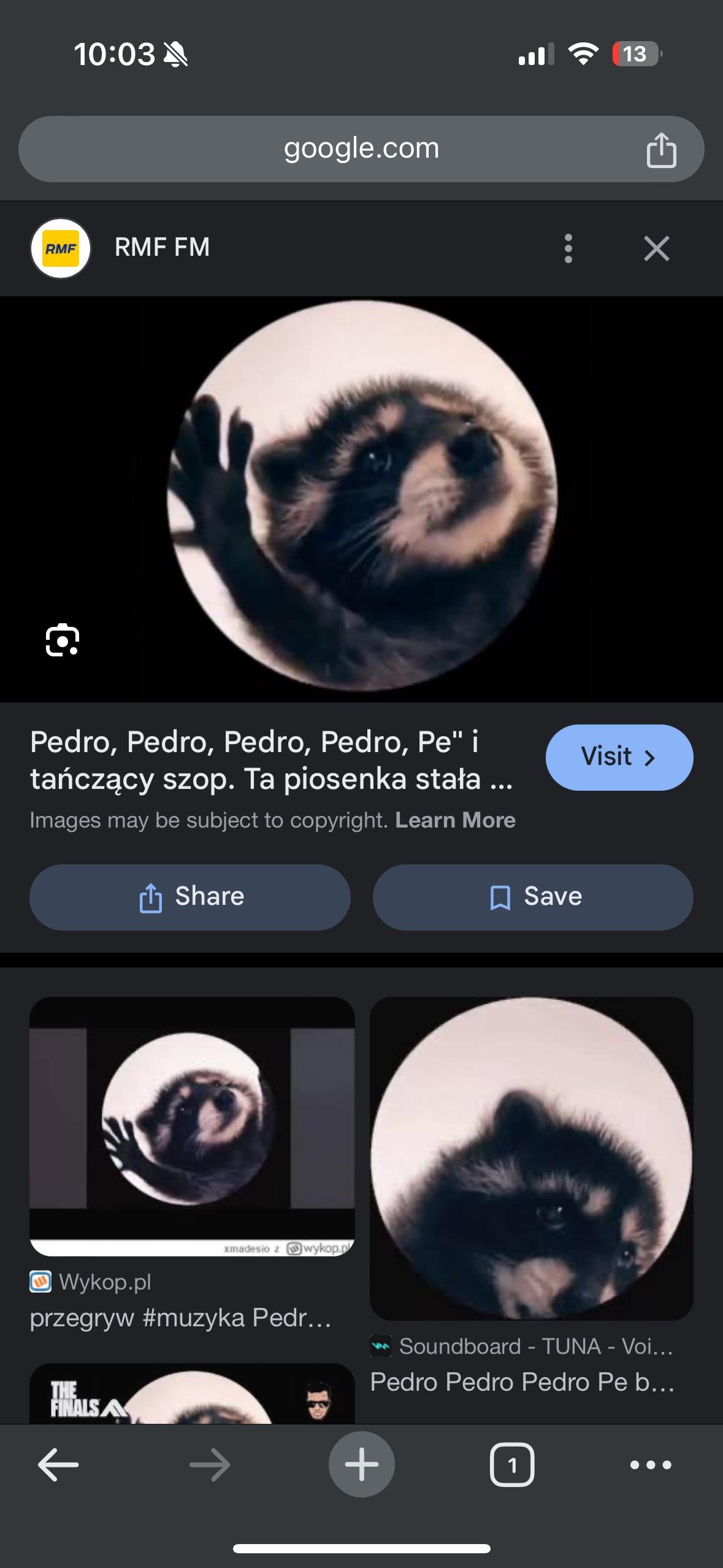 Friends cat in style of Pedro meme (Birthday gift, will be printed on a shirt) | Scrolller