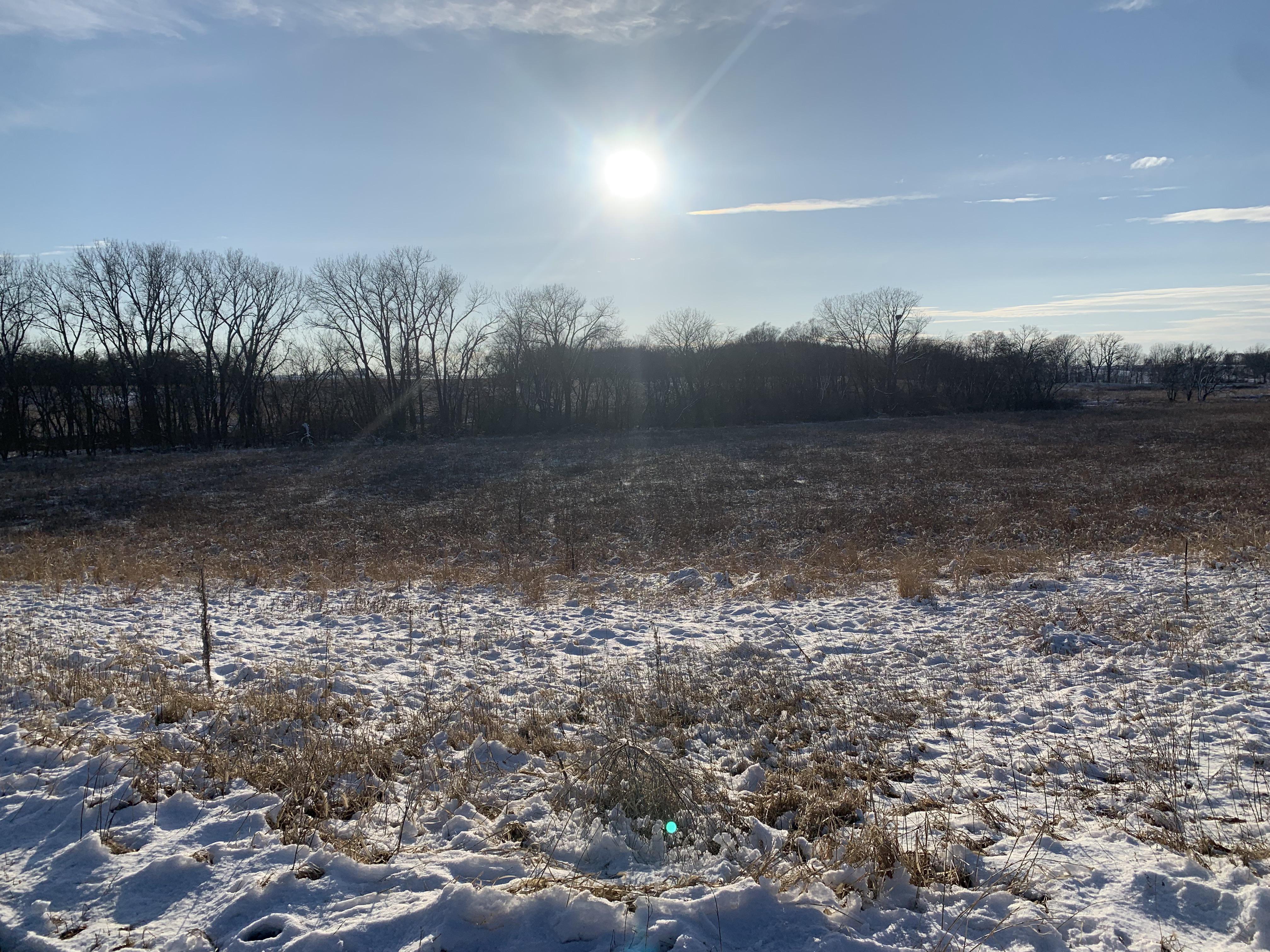 Winters last stand | Scrolller